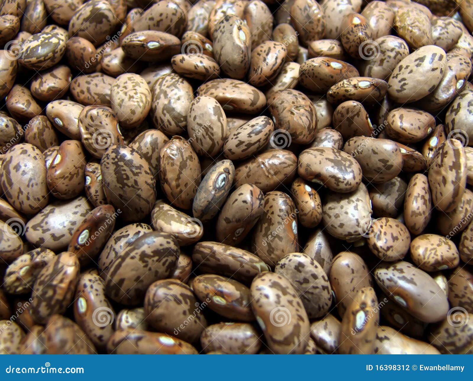 Pinto beans stock photo. Image of natural, texture, organic - 16398312