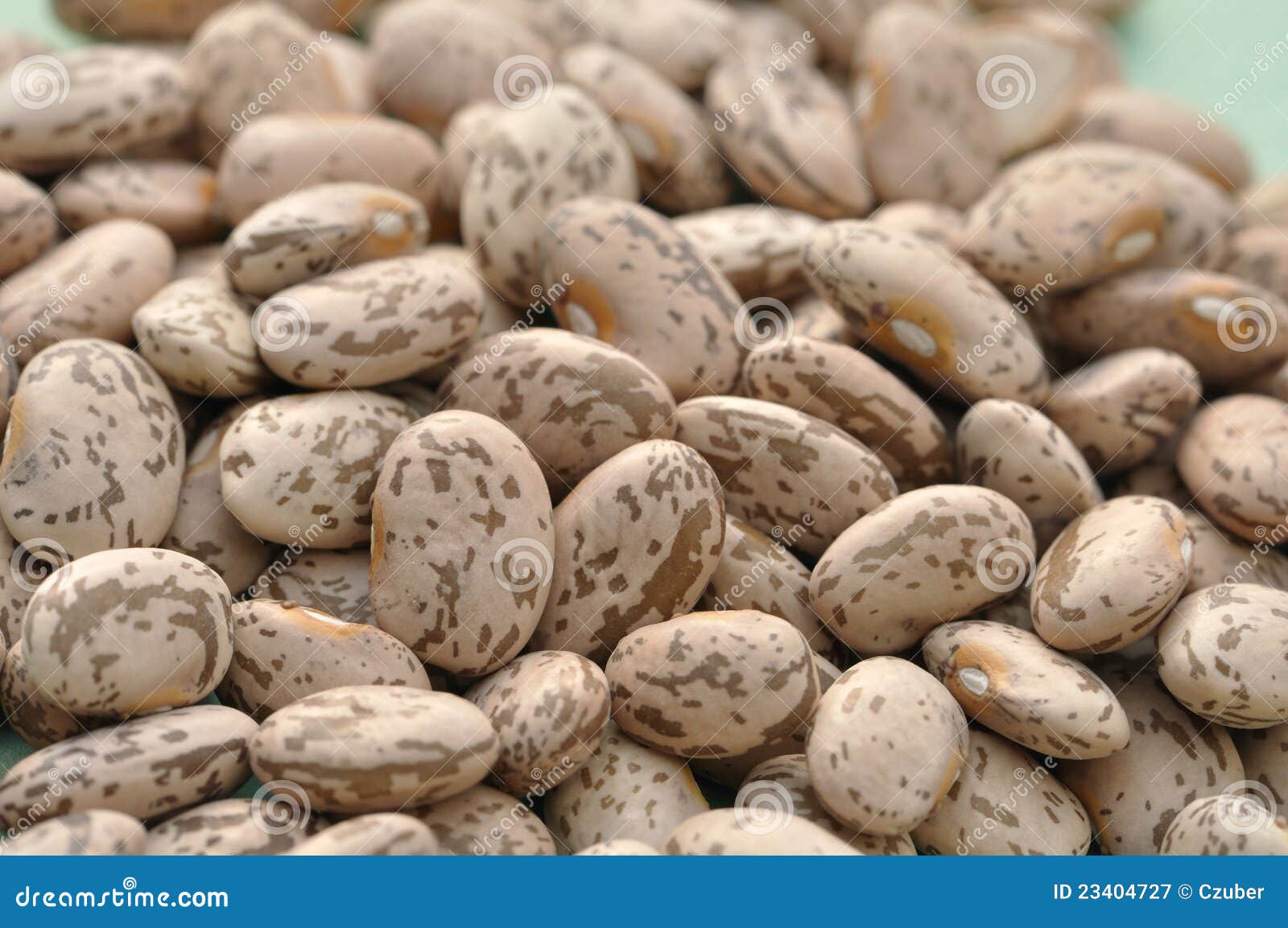 Pinto beans stock image. Image of brown, macro, healthy - 23404727
