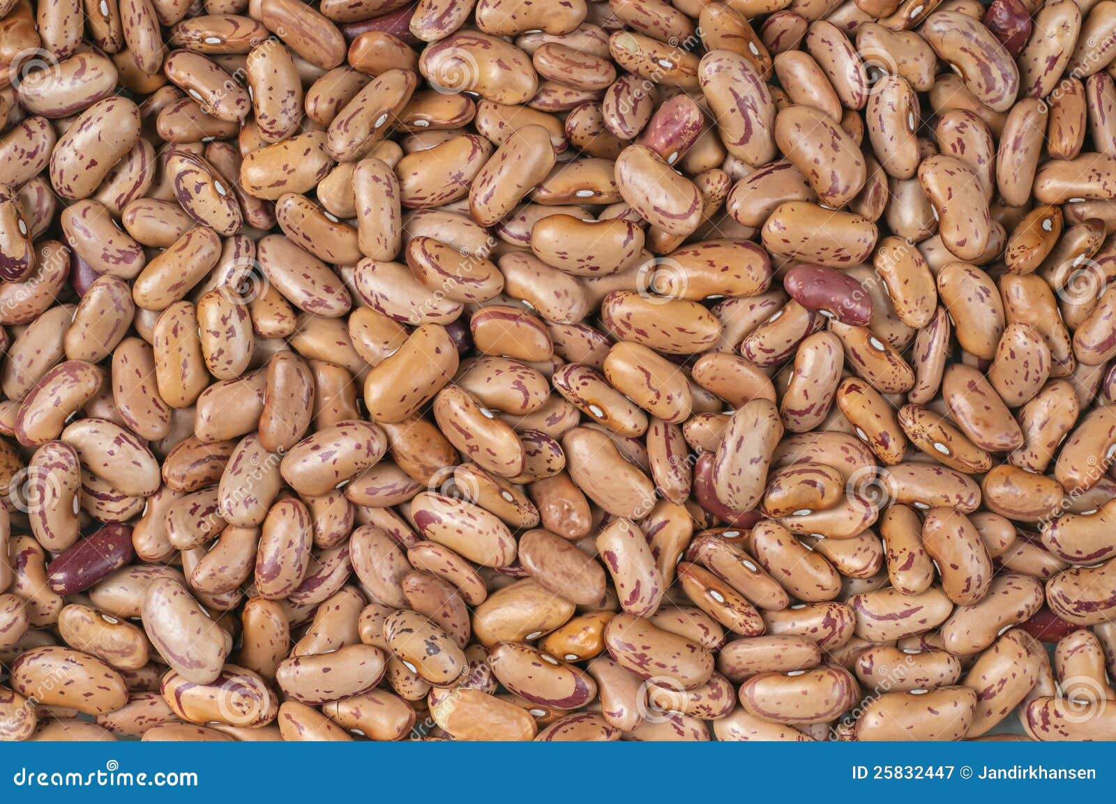 Pinto Beans Royalty-Free Stock Image | CartoonDealer.com #7357474