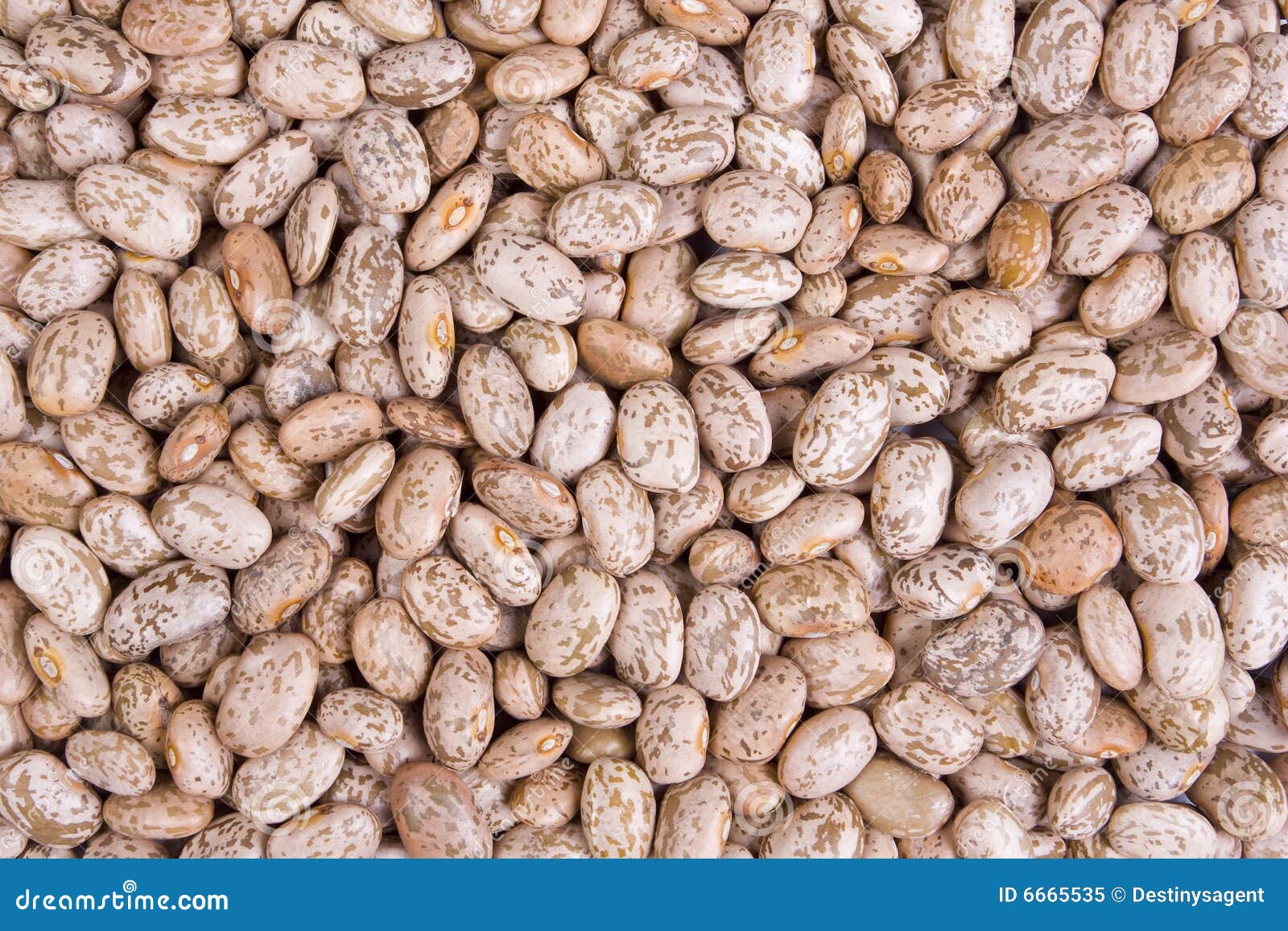 1,917 Pinto Texture Stock Photos - Free & Royalty-Free Stock Photos ...