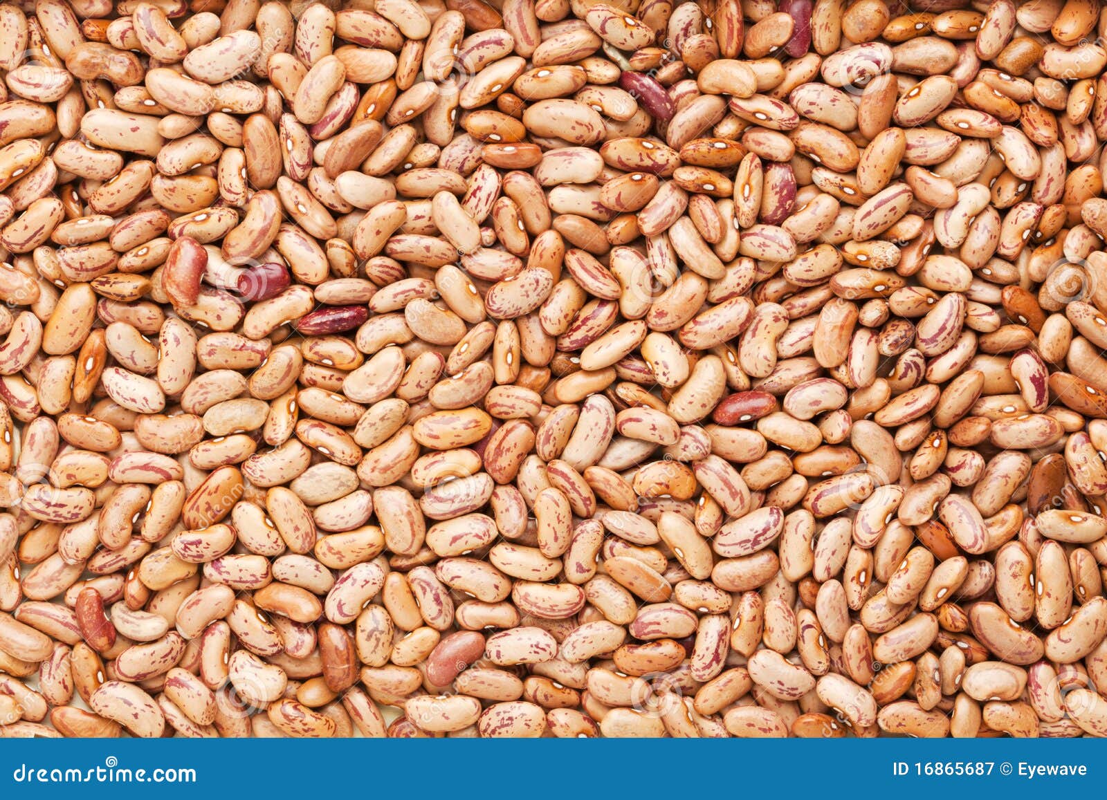Pinto beans background stock image. Image of texture - 16865687