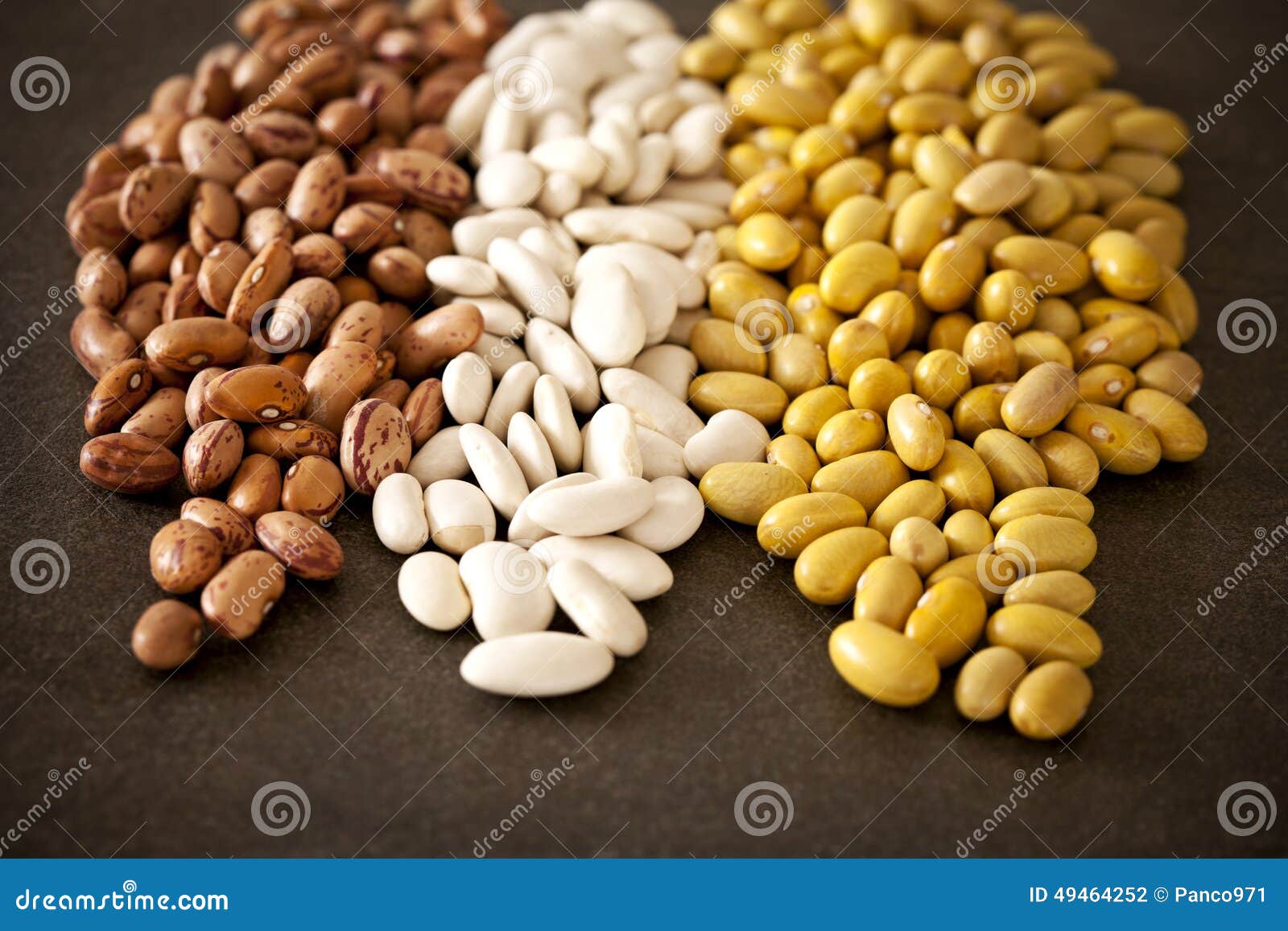 Pinto beans stock photo. Image of green, haricot, beans - 49464252