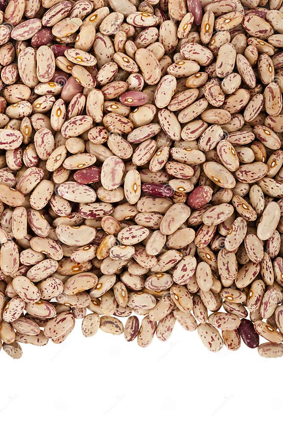 Pinto Beans or Mottled Beans Stock Photo - Image of leguminous, grains ...