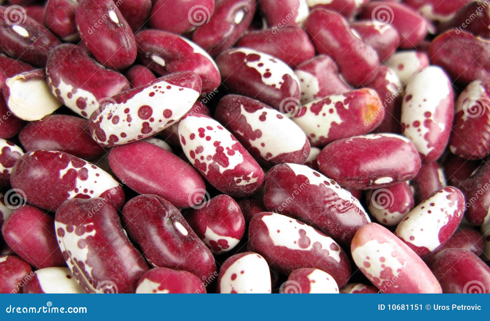 4,098 Green Pinto Stock Photos - Free & Royalty-Free Stock Photos from ...