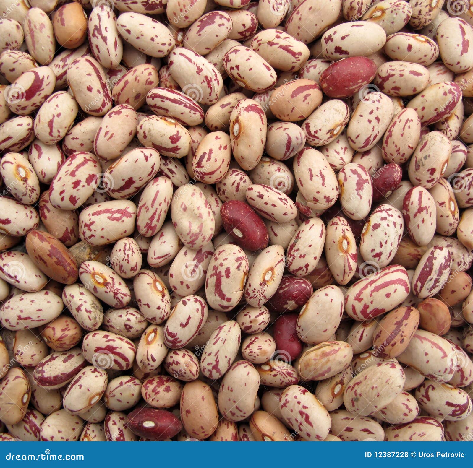 Pinto beans multicolor stock photo. Image of cowboy, beans - 12387228