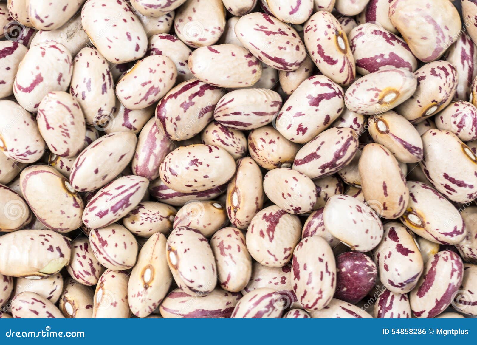Pinto beans texture stock photo. Image of food, close - 54858286