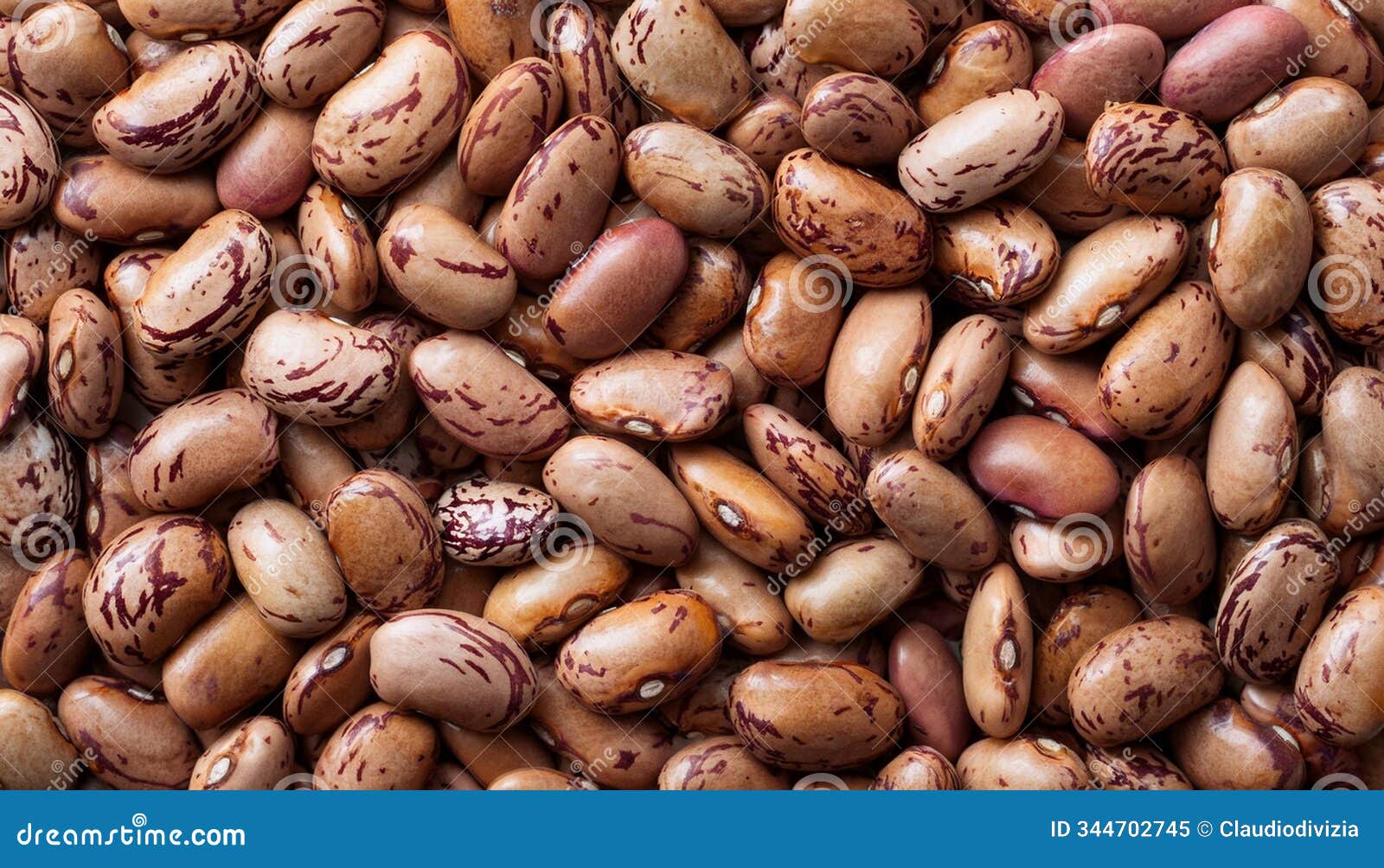 Pinto Beans Set Illustration. Vector. | CartoonDealer.com #164380907