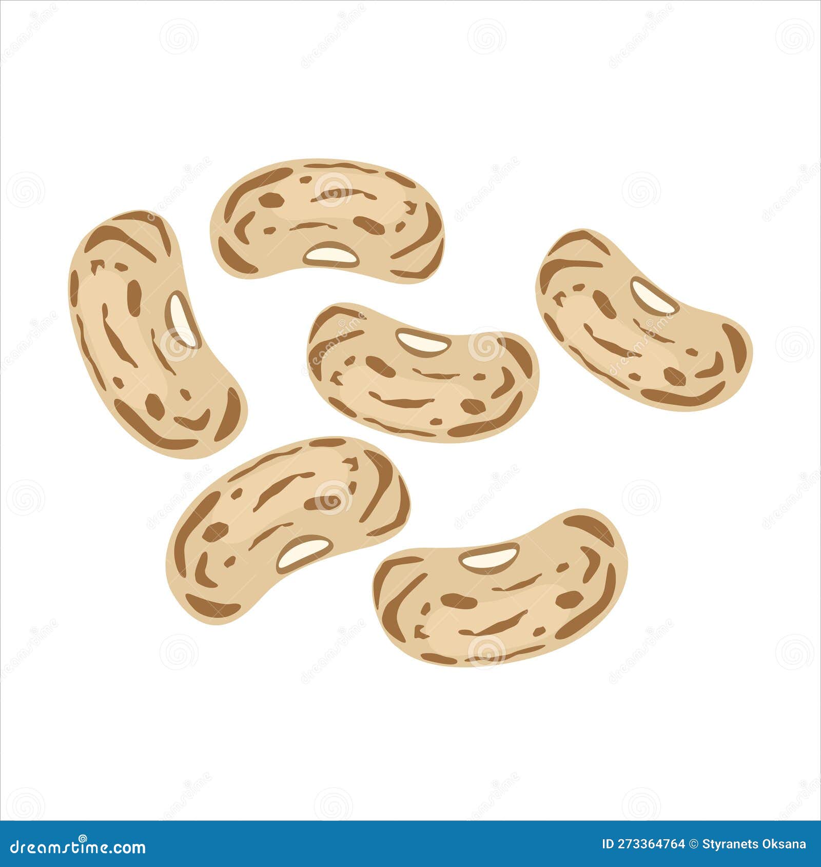 Pinto Beans Set Illustration. Vector. | CartoonDealer.com #164380907
