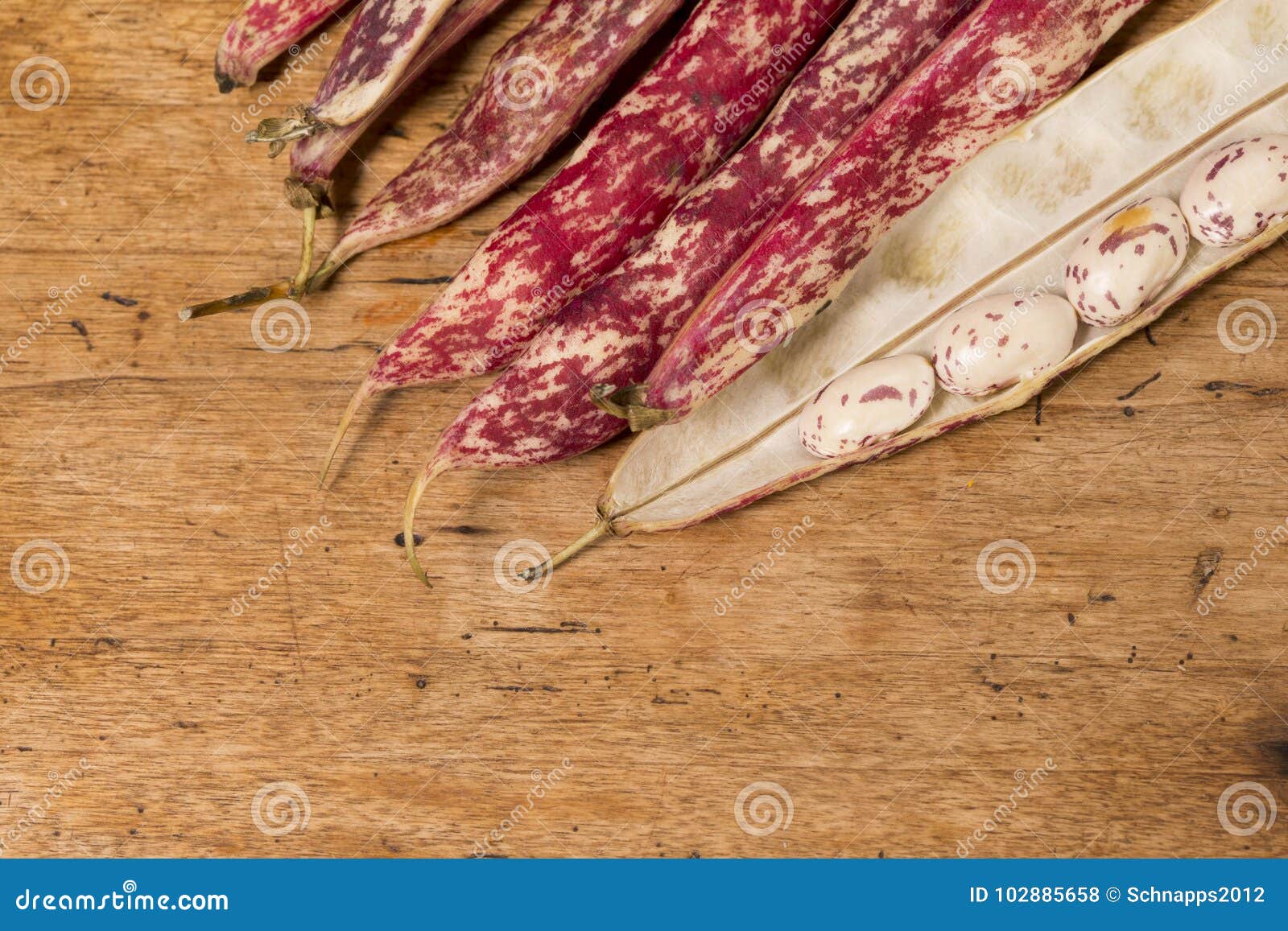 Pinto beans stock photo. Image of shell, uncooked, bean - 102885658