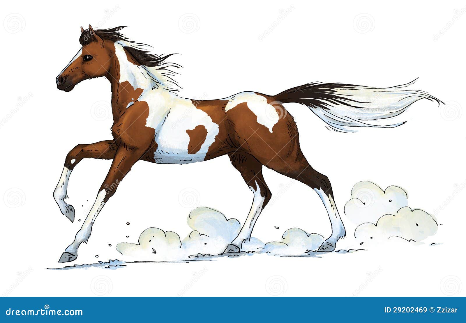 Pinto Horse Gallop Stock Illustrations – 26 Pinto Horse Gallop Stock ...
