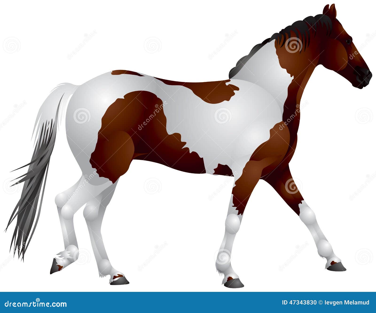 Horse Clipart