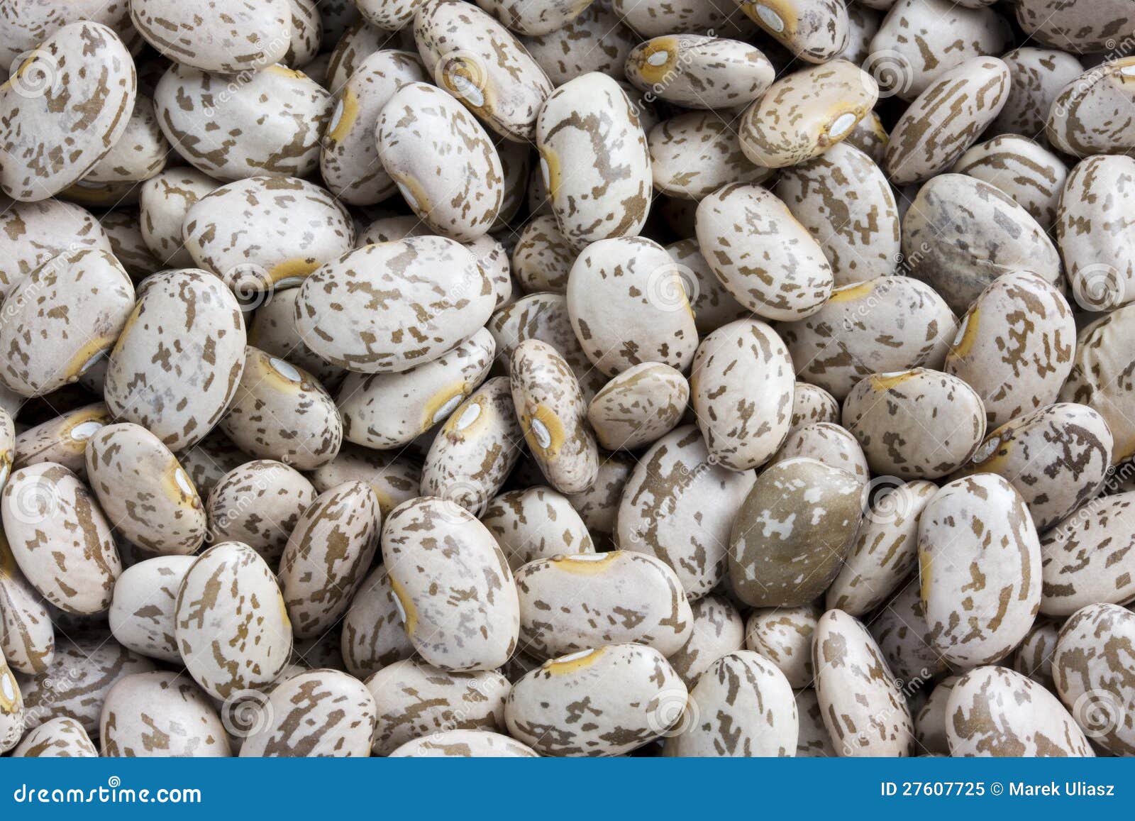 Pinto or mottled beans stock image. Image of spotted - 27607725