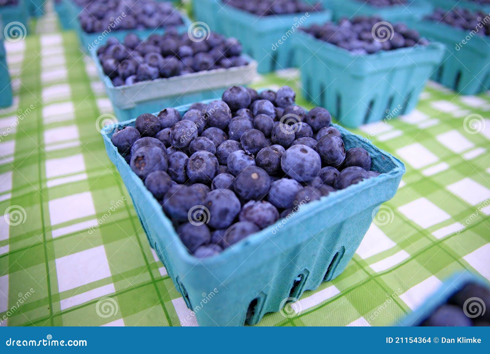 Pints of Blue Berries stock photo. Image of juice, pints - 21154364