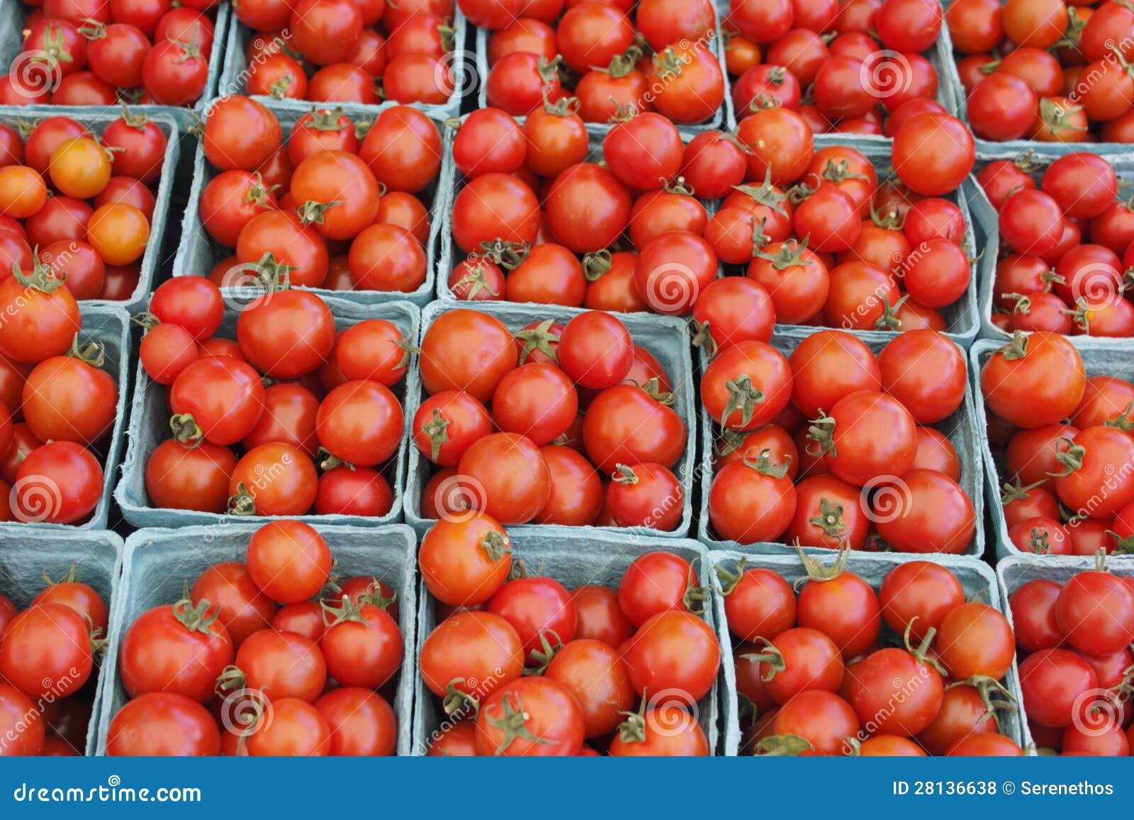 Pints of Tomatoes for Sale stock photo. Image of pints - 28136638