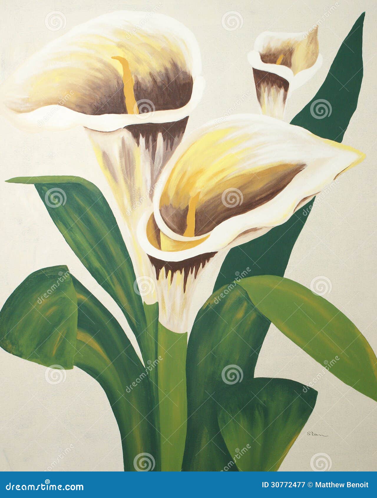 Pintura de las calas stock de ilustración. Ilustración de costoso ...