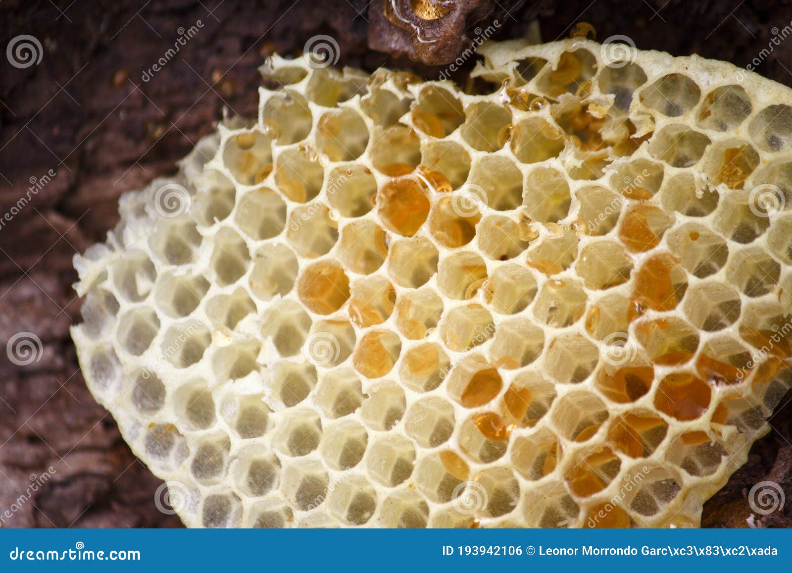 Pintura Natural De Cera De Abelhas Melada Com Mel Foto de Stock ...