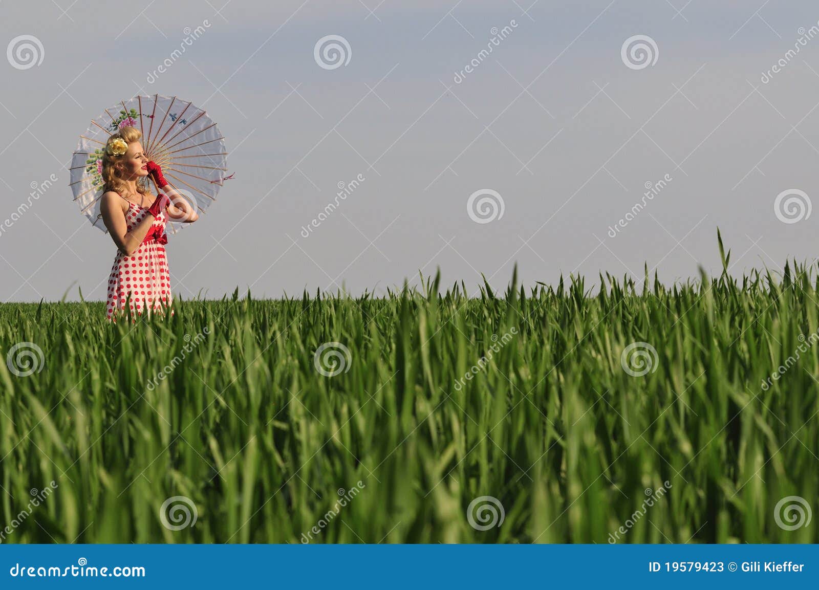 Pinup girl in the field stock image. Image of classy - 19579423