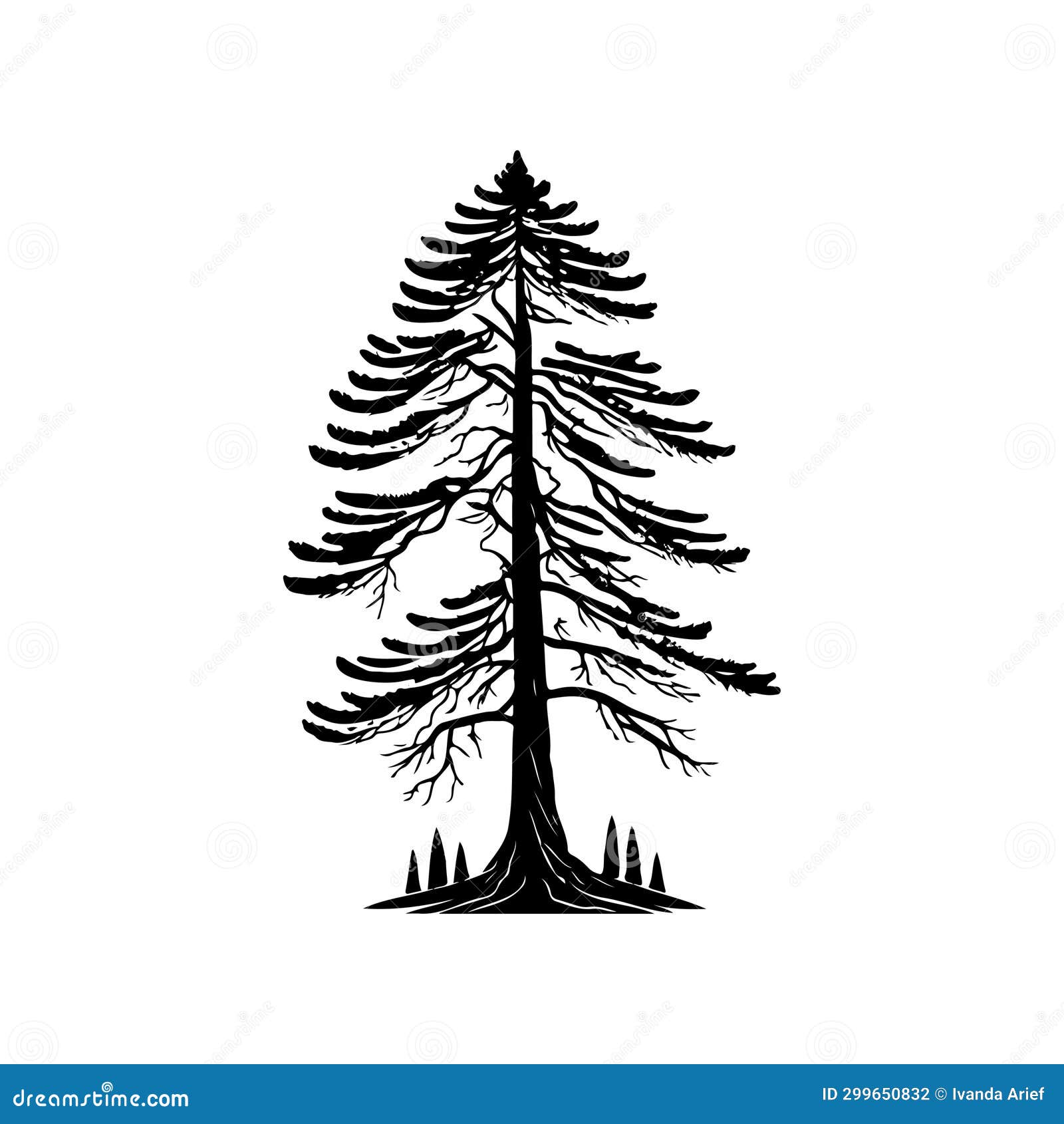 Pinus Strobus Icon Hand Draw Black Colour Tree Day Logo Symbol Perfect ...