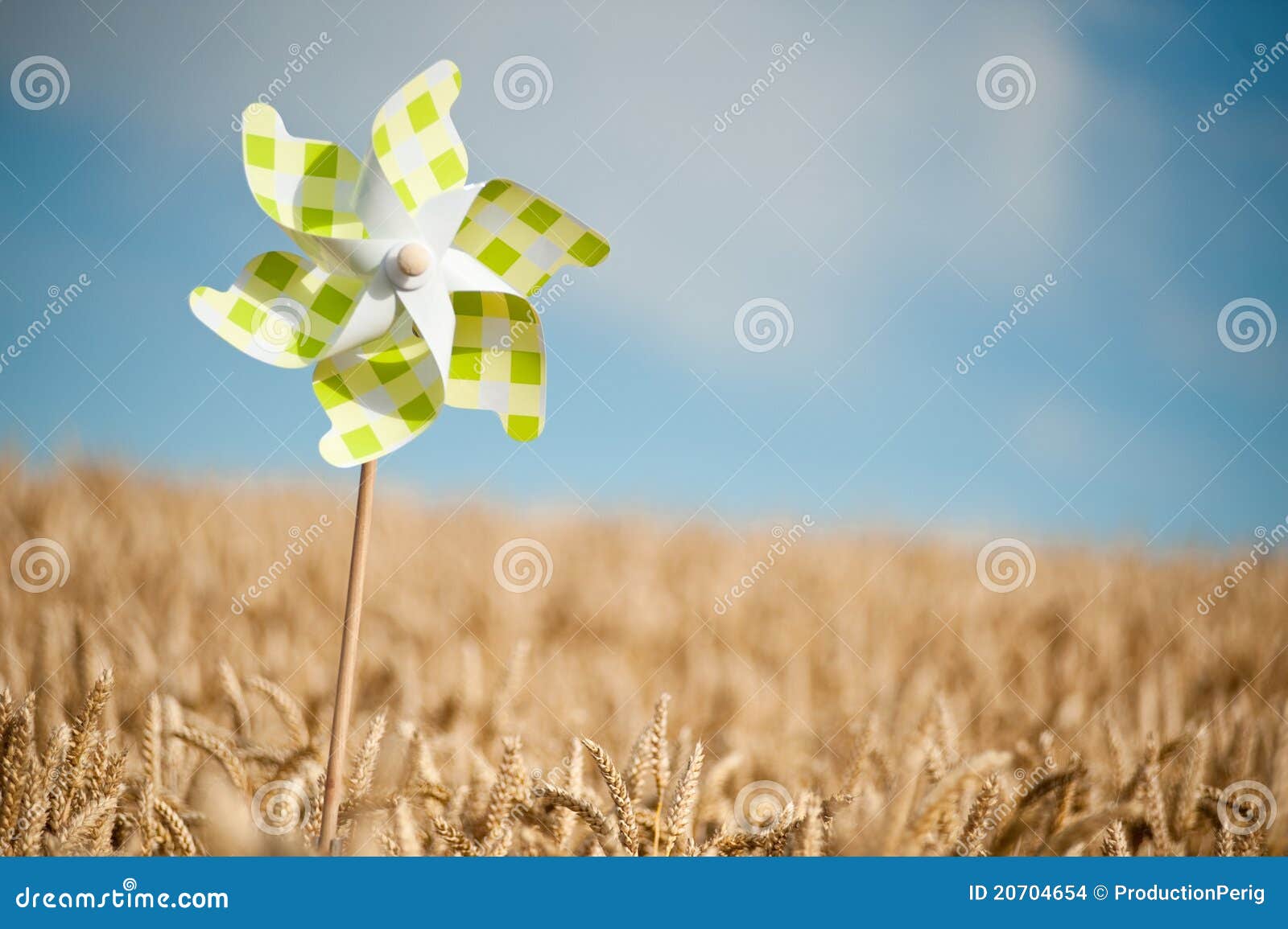 Pinwheel in a field stock photo. Image of colorful, decorative - 20704654