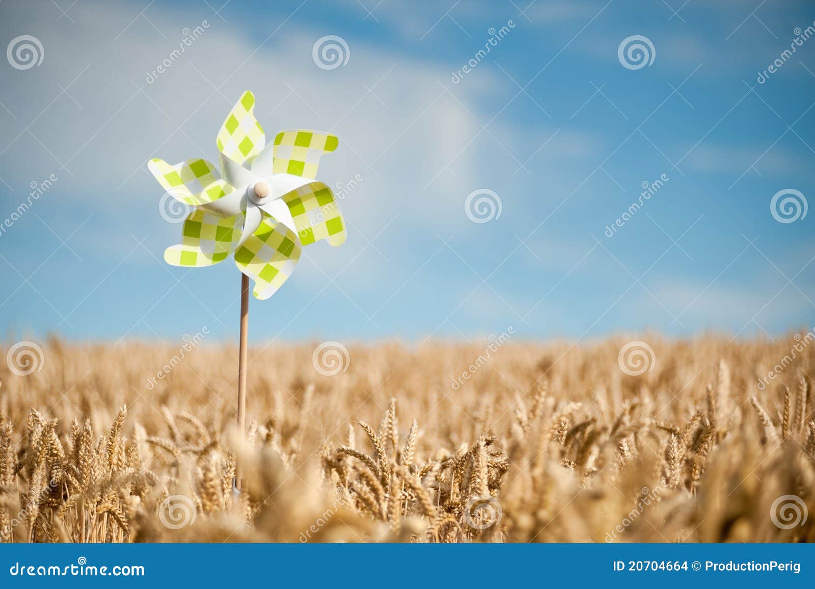 Pinwheel in a field stock photo. Image of orange, pinwheel - 20704664
