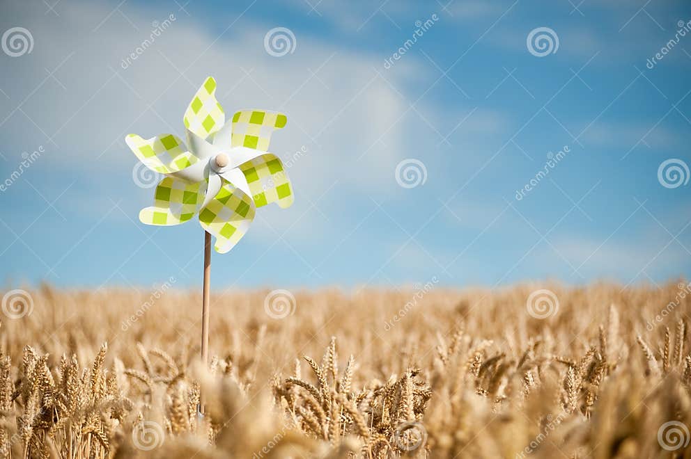 Pinwheel in a field stock photo. Image of orange, pinwheel - 20704664