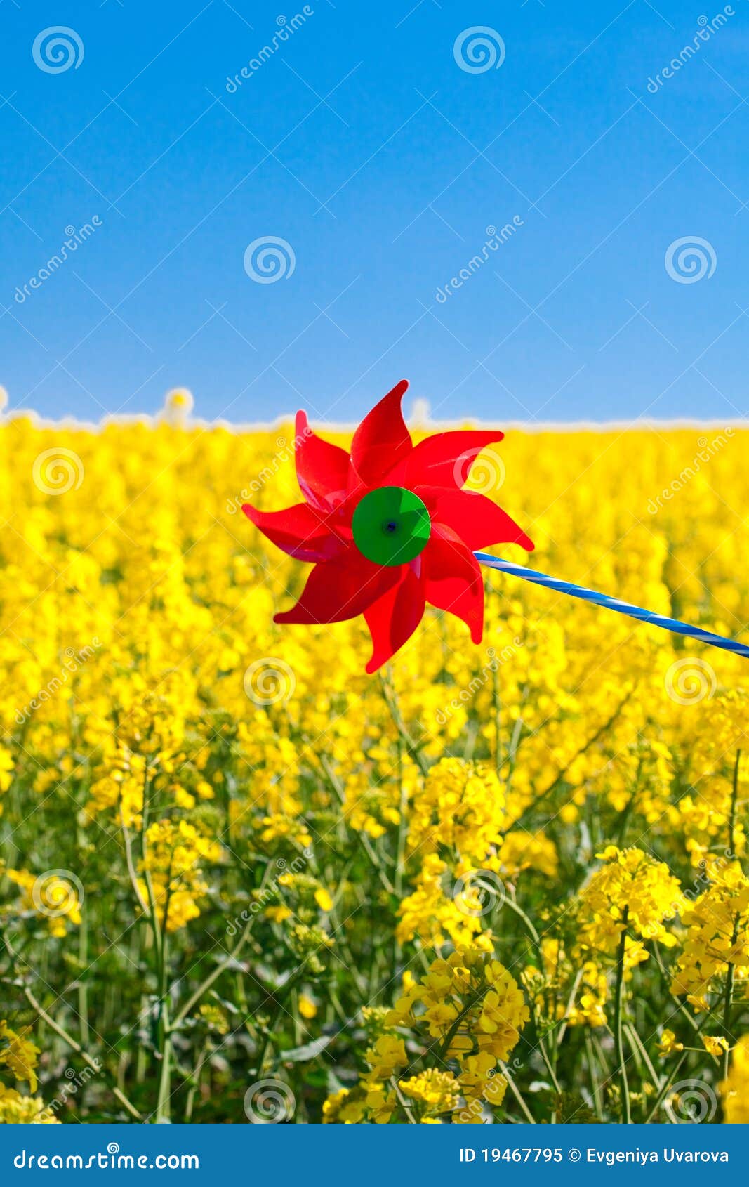 Pinwheel in a Field of Yellow Stock Image - Image of abstract, land ...
