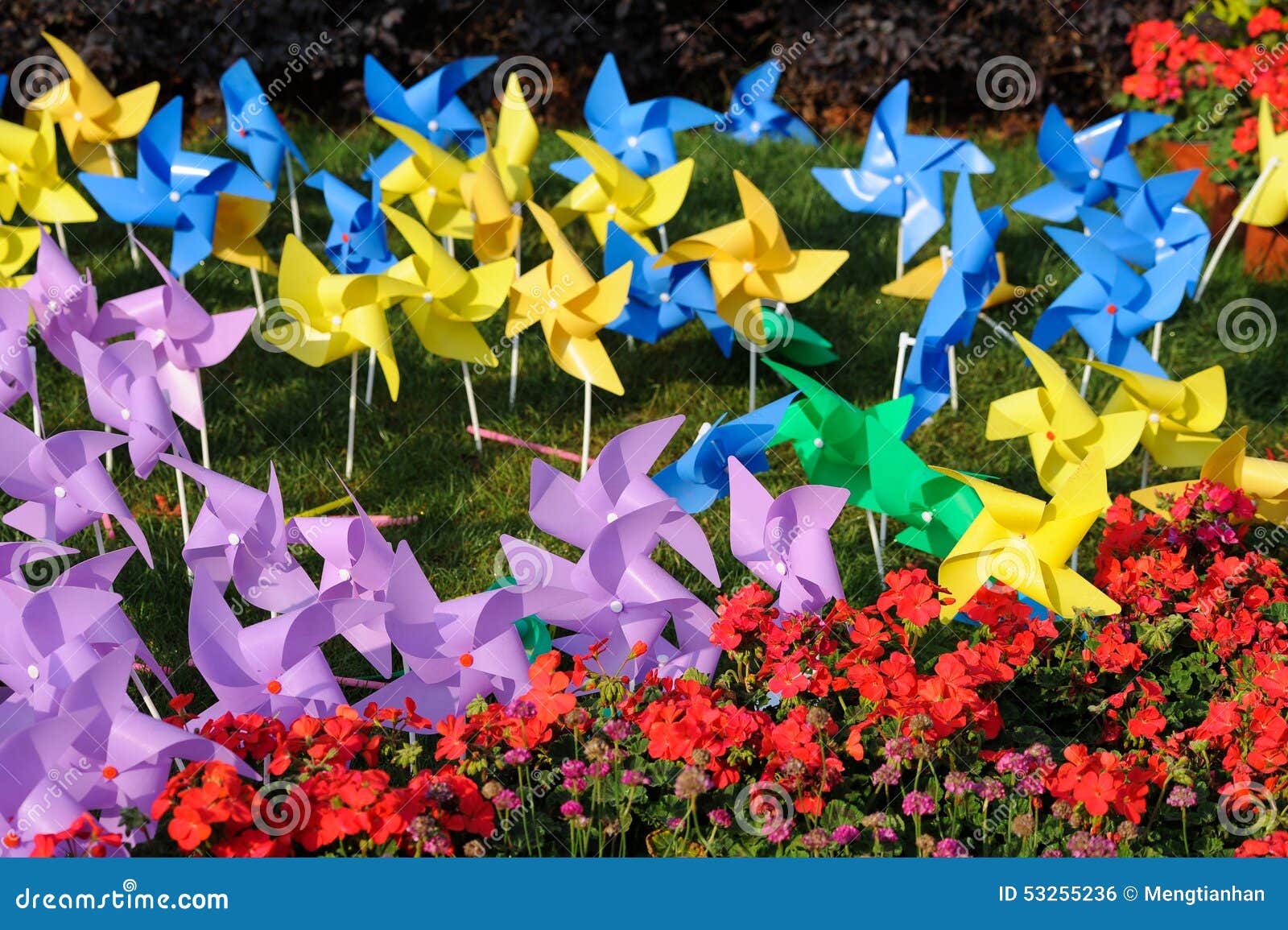 Pinwheel in the garden stock photo. Image of grass, plastic - 53255236