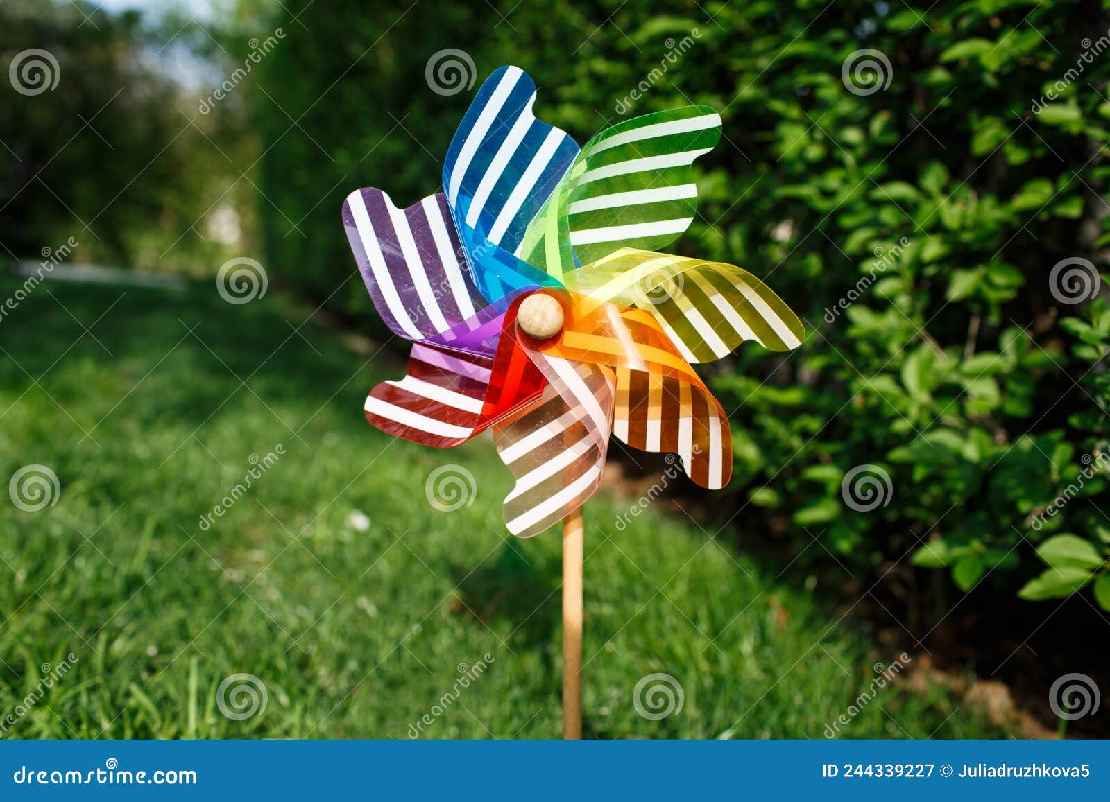 The Pinwheel Stands in the Grass on the House Lawn in Spring Stock ...