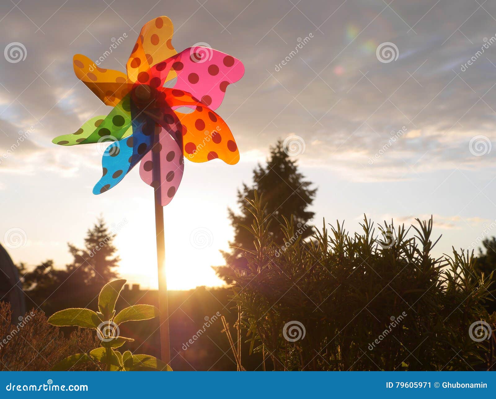 Pinwheel sunset outdoors stock image. Image of nature - 79605971