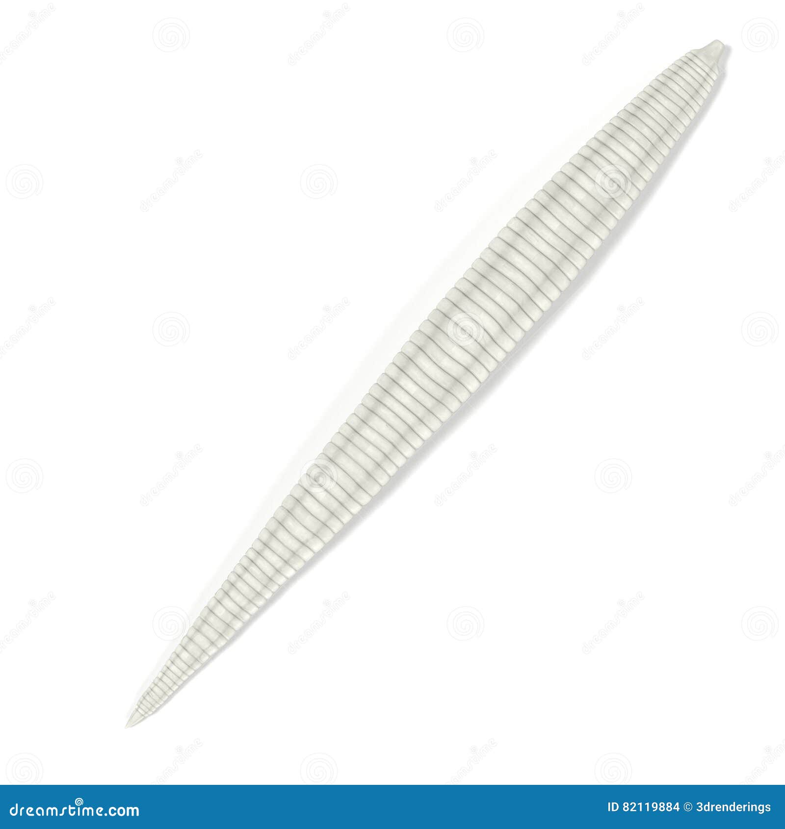 Pinworm stock de ilustración. Ilustración de animal, rinda - 82119884