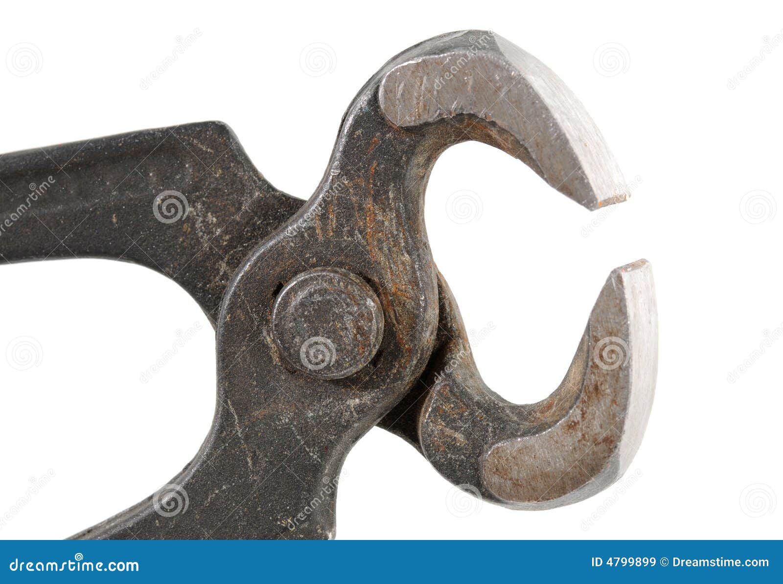 Pinze immagine stock. Immagine di pinze, colpo, riparare - 4799899