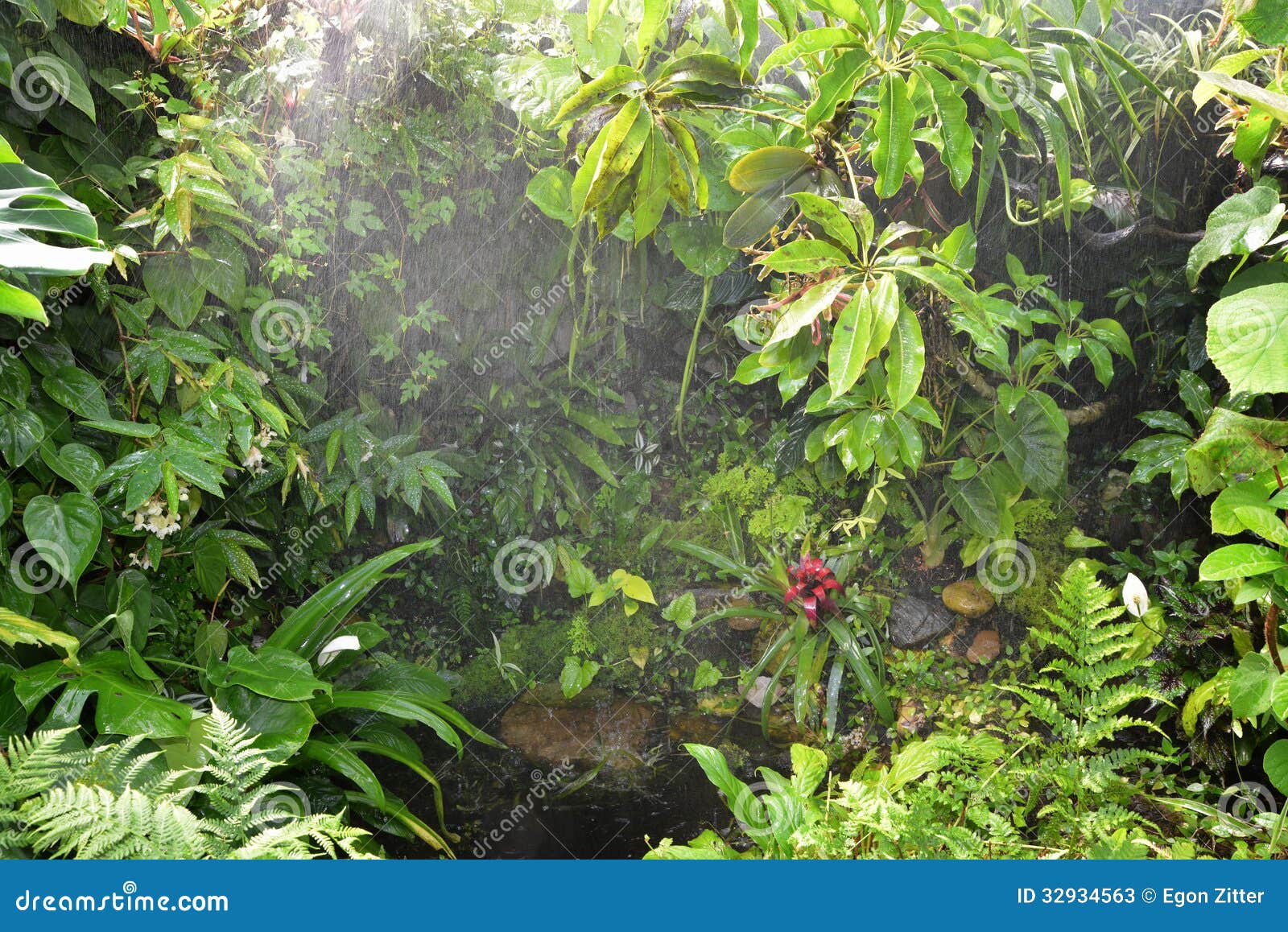 Pioggia in Foresta Pluviale Tropicale Immagine Stock - Immagine di ...