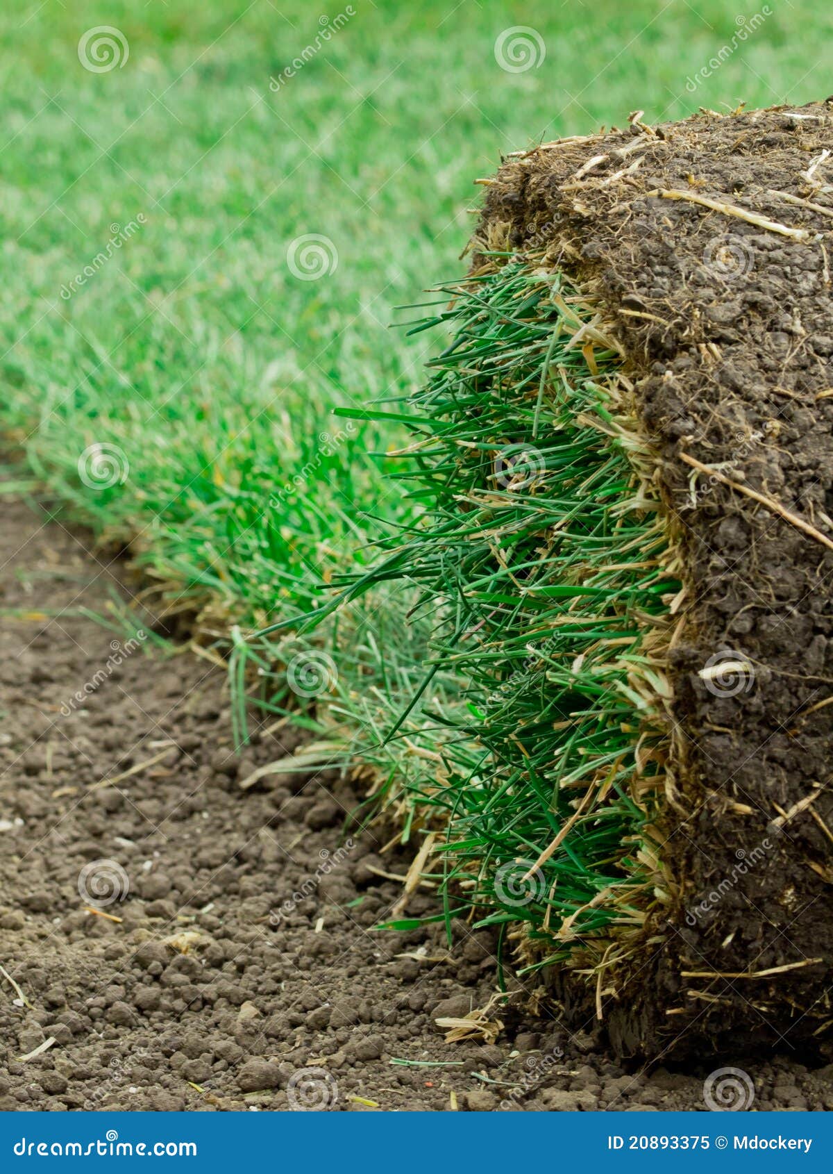 Piota di rotolamento immagine stock. Immagine di indietro - 20893375