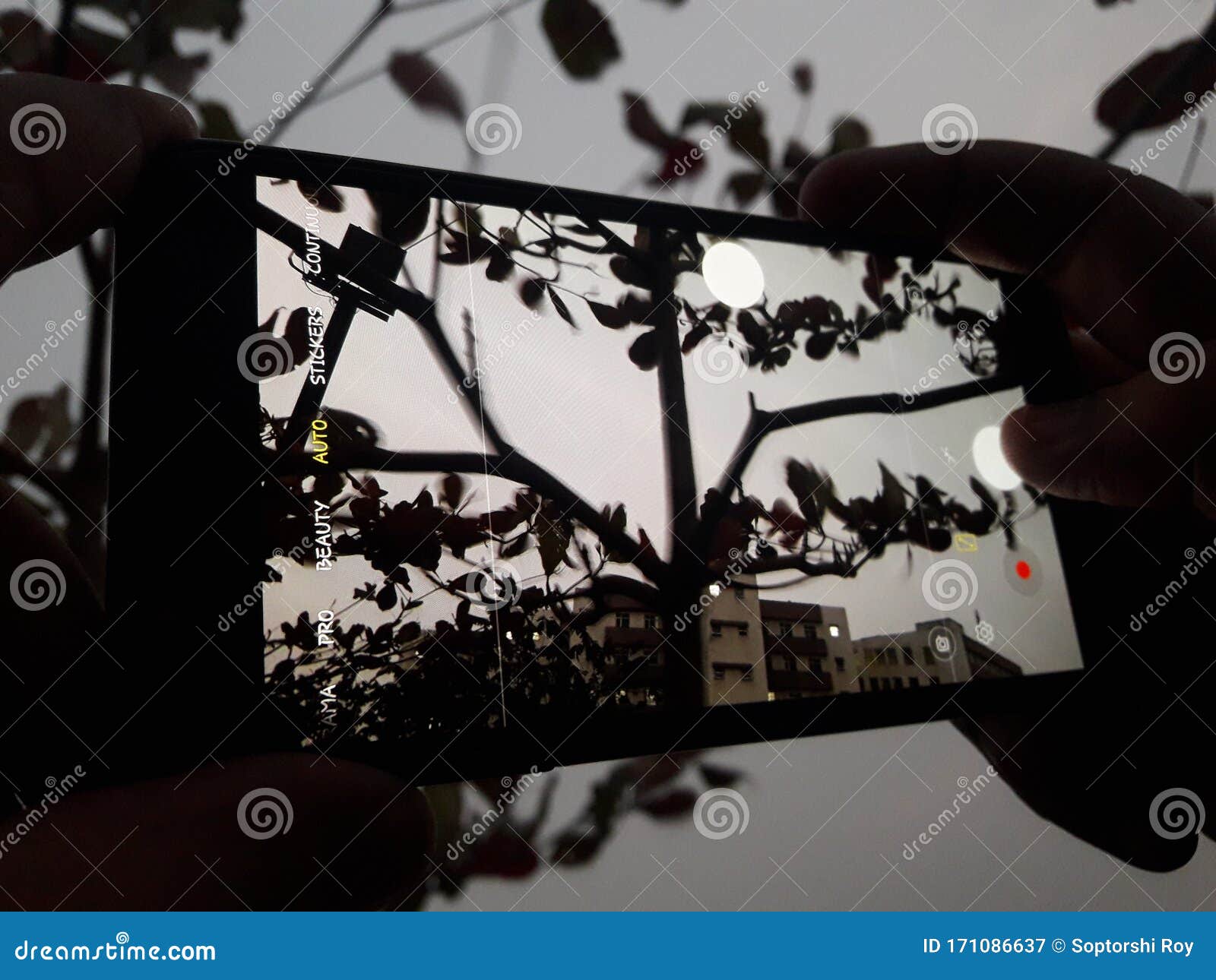 PIP Clicked a Tree Using 2 Mobile Stock Image - Image of tree, mobile ...