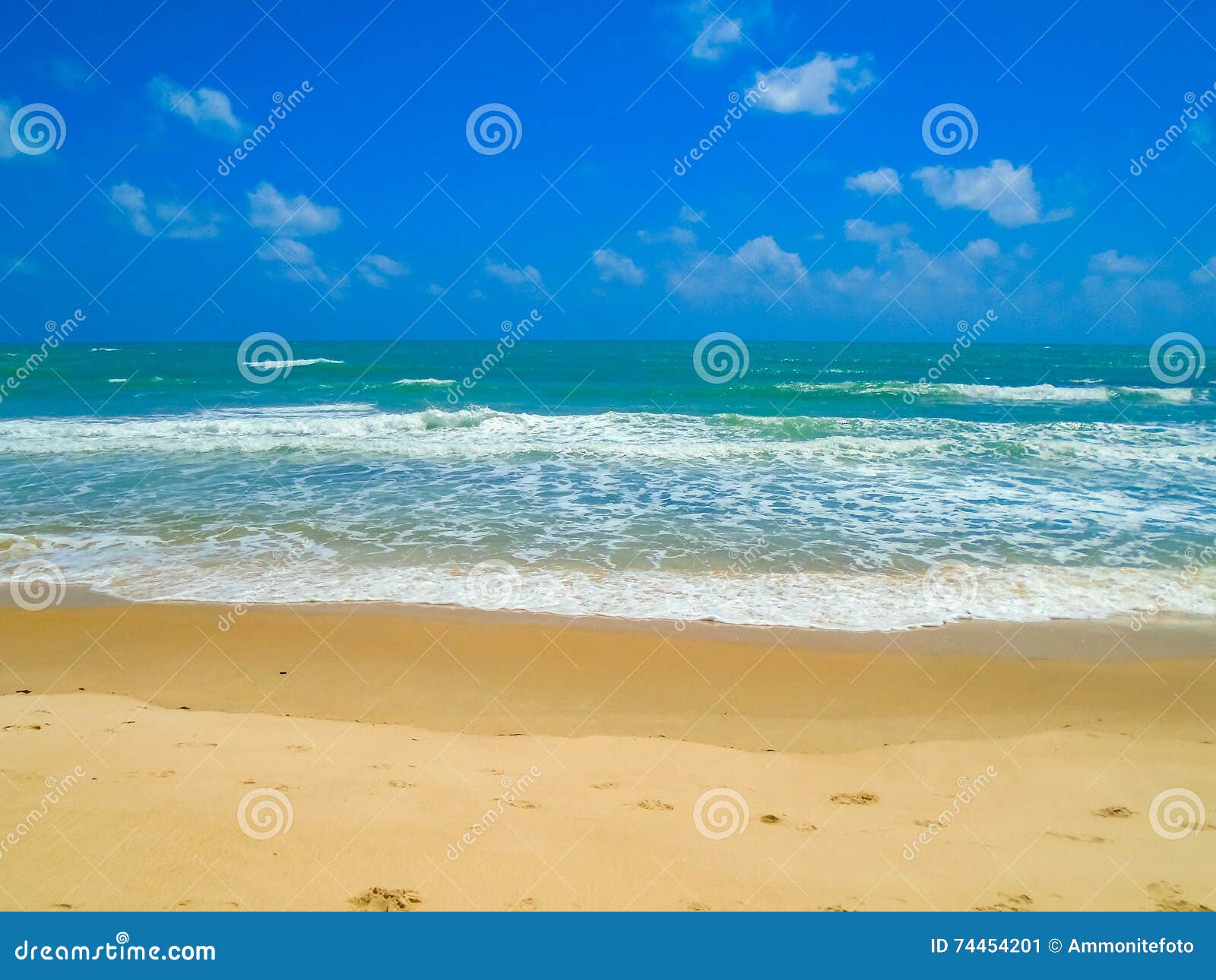 Pipa Beach in Brazil stock image. Image of wave, brazilian - 74454201