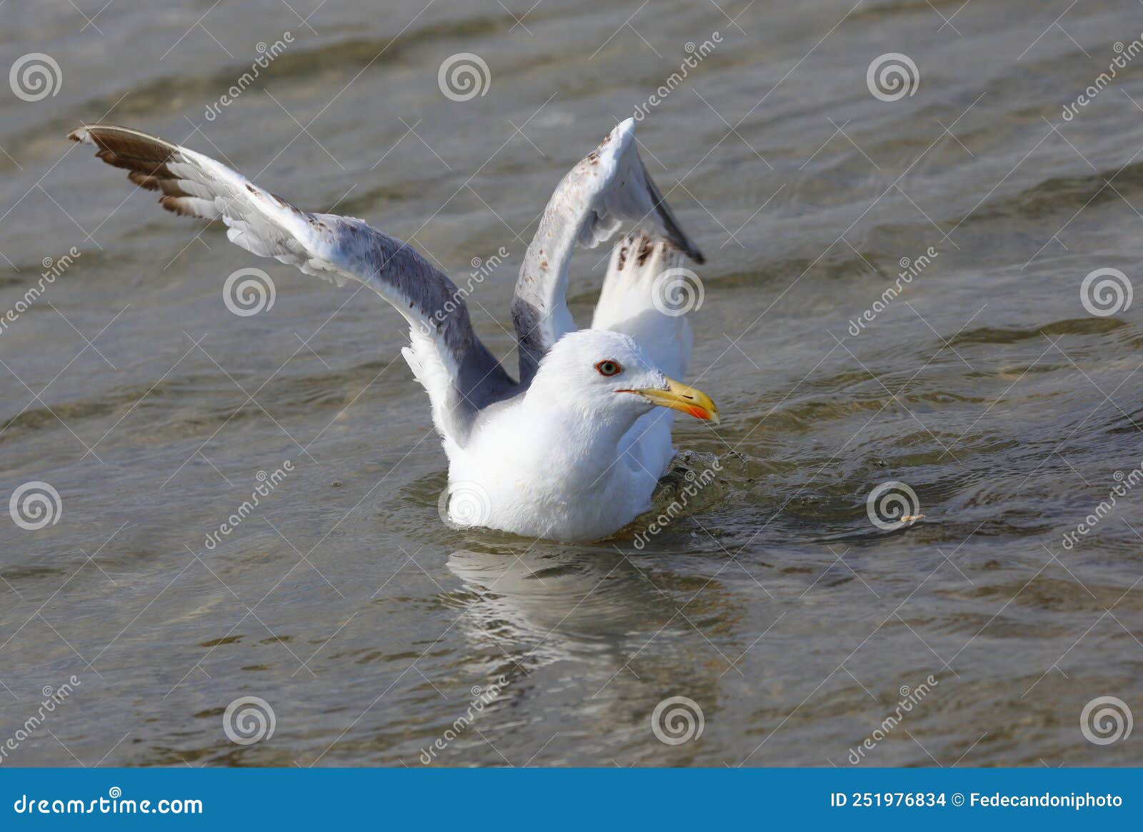 Pipa Em Forma Triangular Voando Alto Em Branco Foto de Stock - Imagem ...