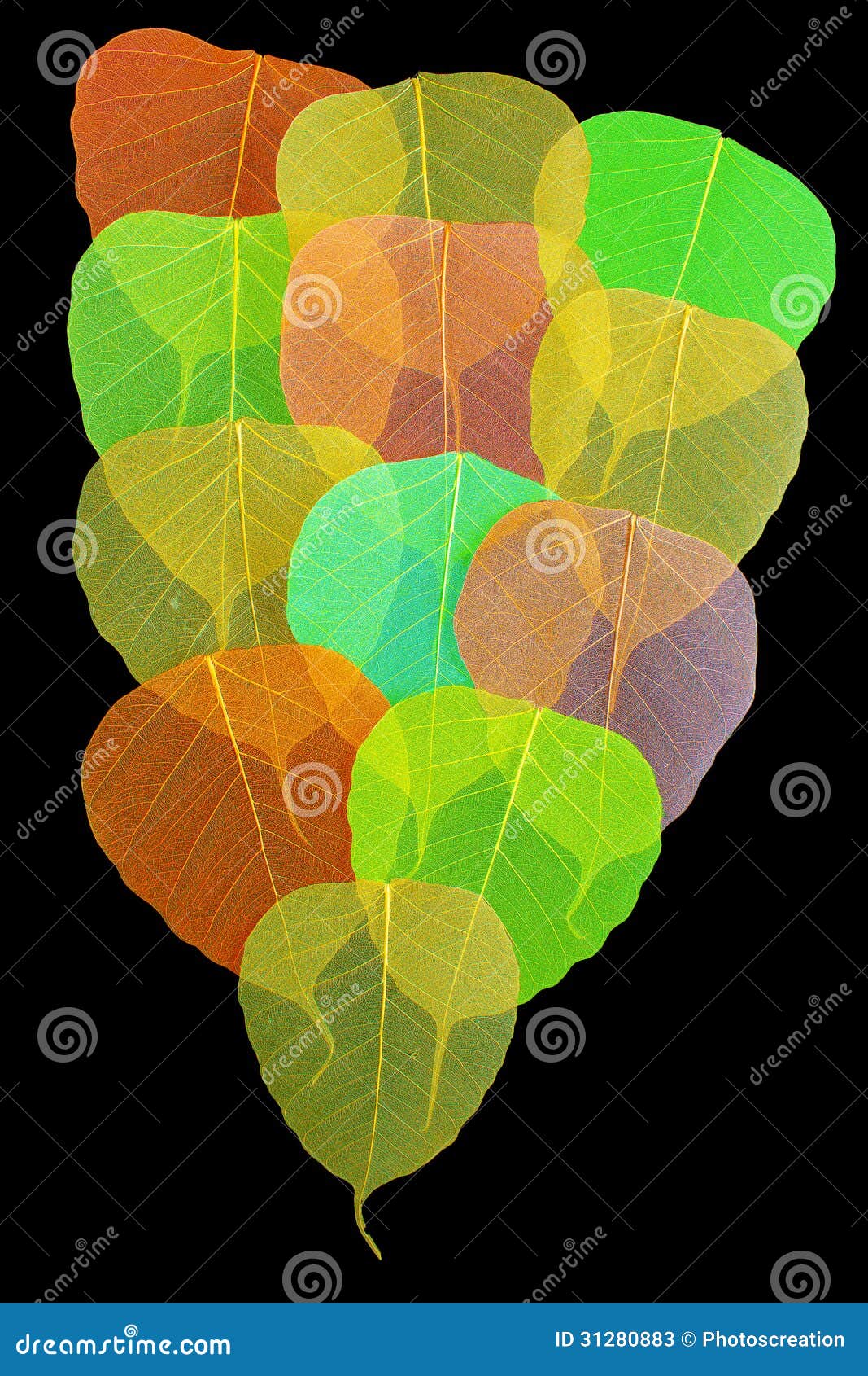 Pipal Leaf Growing Through Crack In Old Sand Stone Wall,survival ...