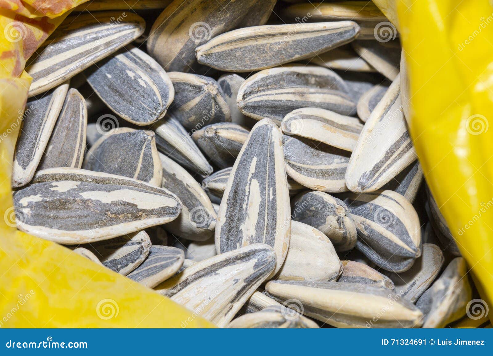 Pipas stock image. Image of fruit, shell, hobbies, yellow - 71324691