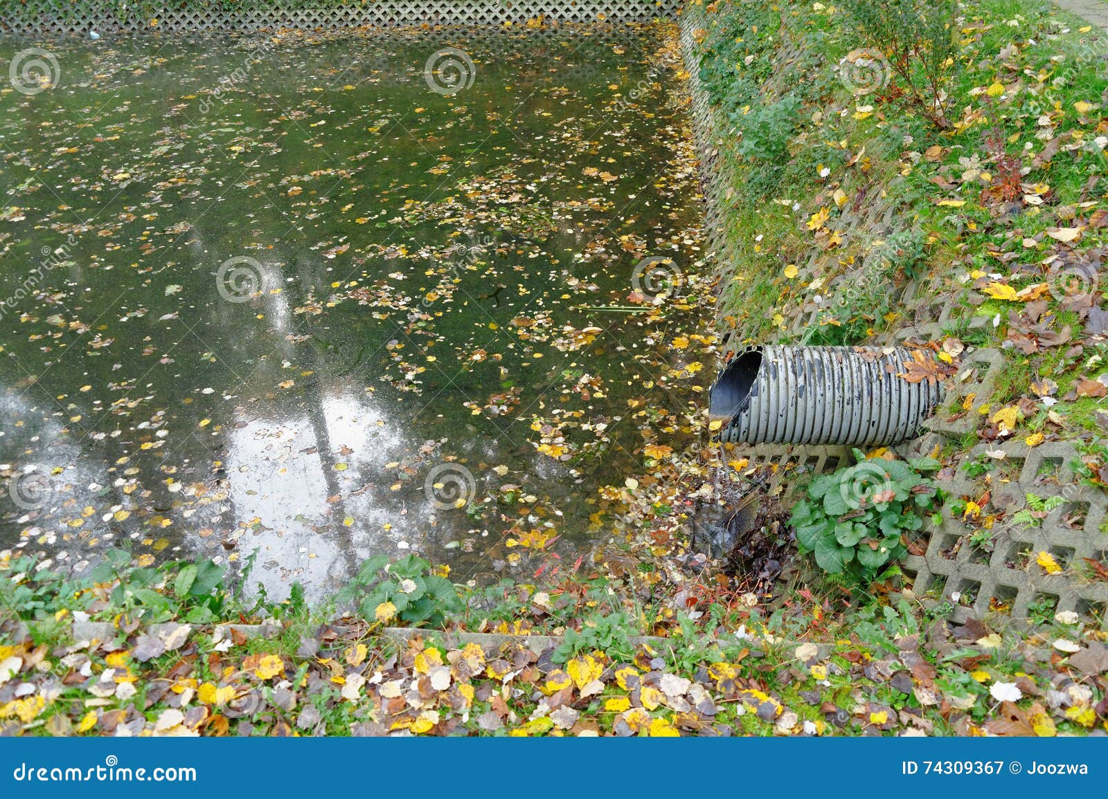 Pipe in contaminated pond stock image. Image of park - 74309367