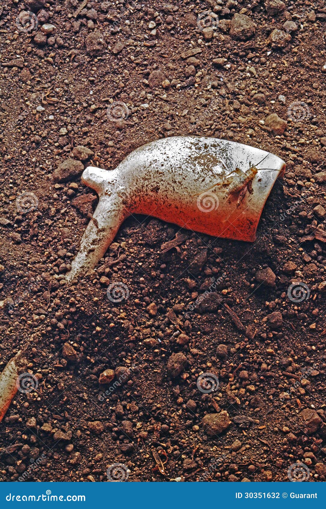 Pipe and Cricket in the Farm Stock Photo - Image of field, life: 30351632
