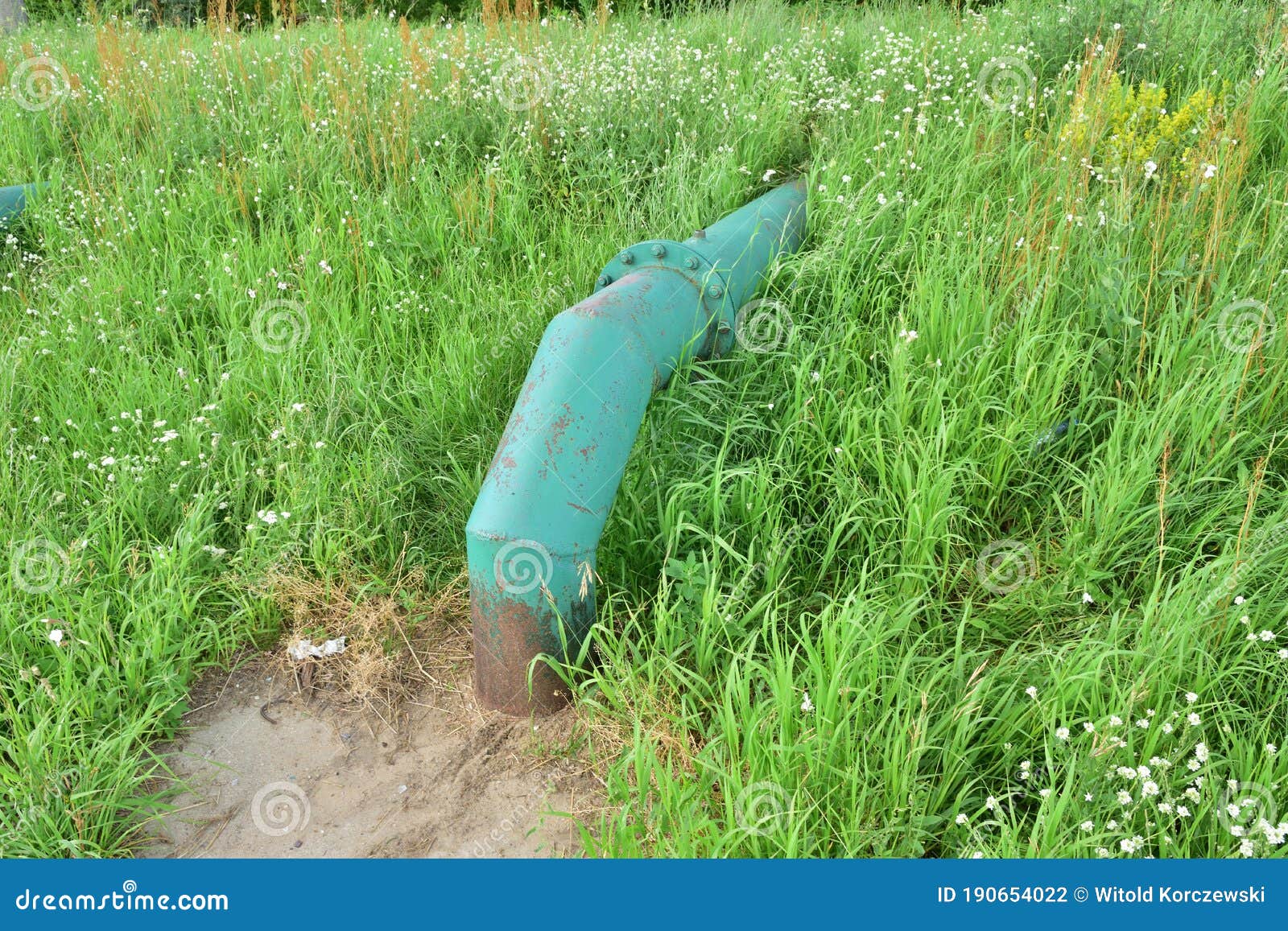 A Pipe Protruding from the Grass on a Slope Stock Photo - Image of ...