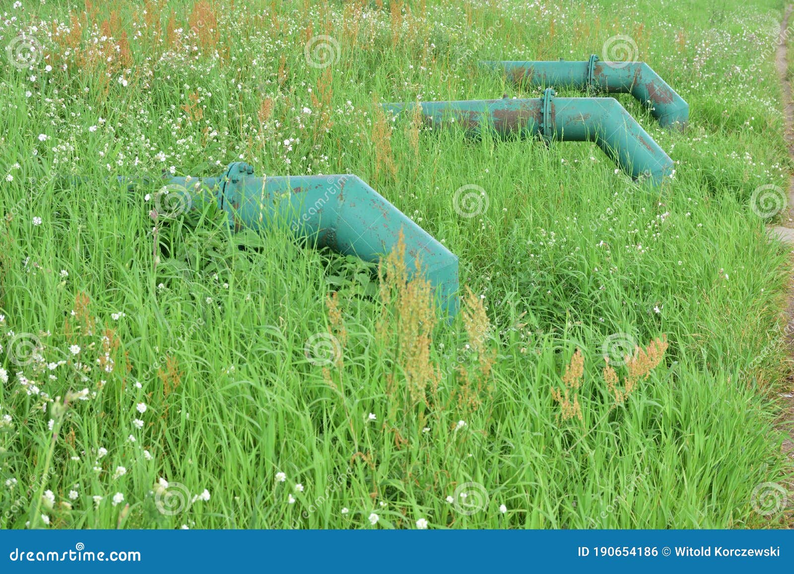 A Pipe Protruding from the Grass on a Slope Stock Photo - Image of ...