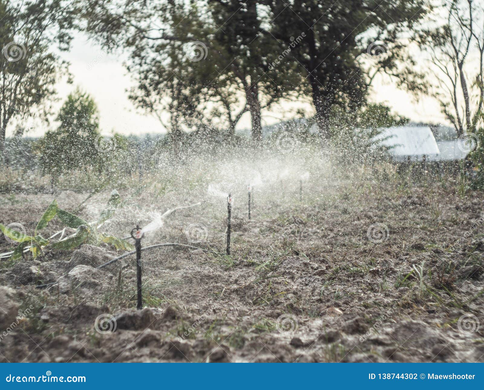 Pipe Springer Working In Farm Stock Photography | CartoonDealer.com ...