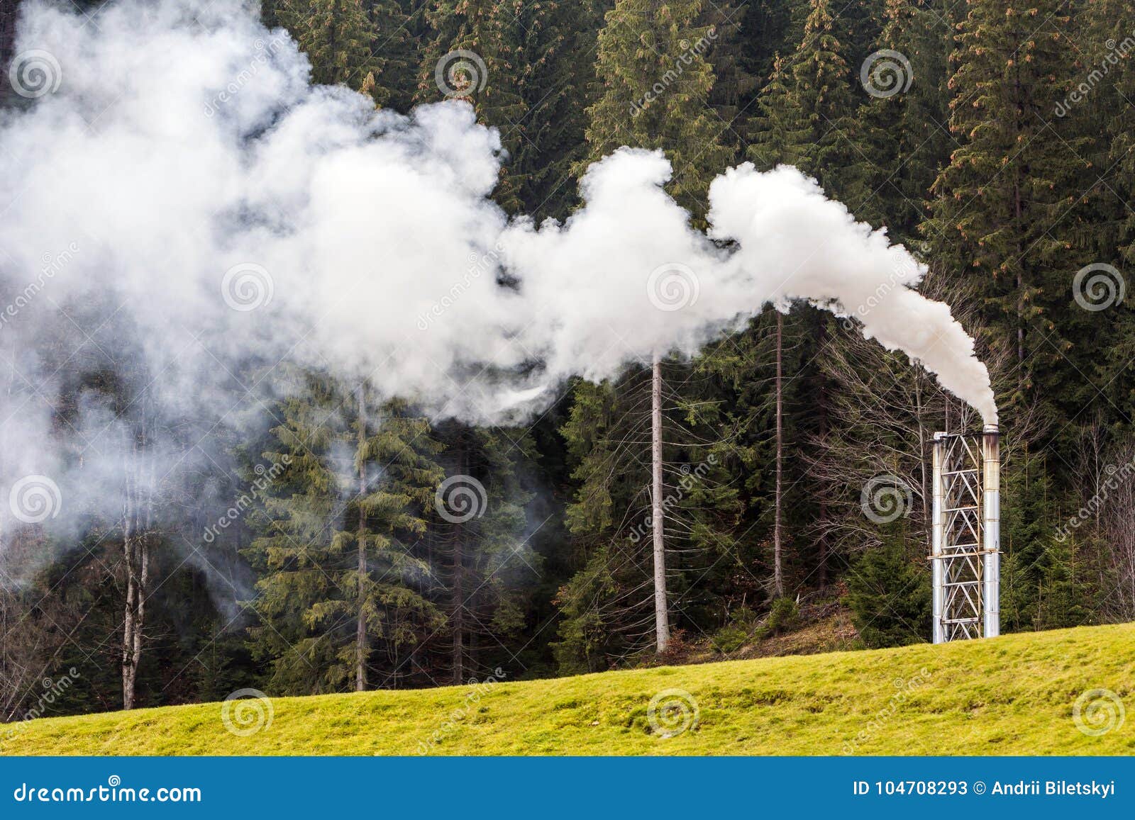 Pipe with Thick White Smoke in Pine Forest Stock Image - Image of ...