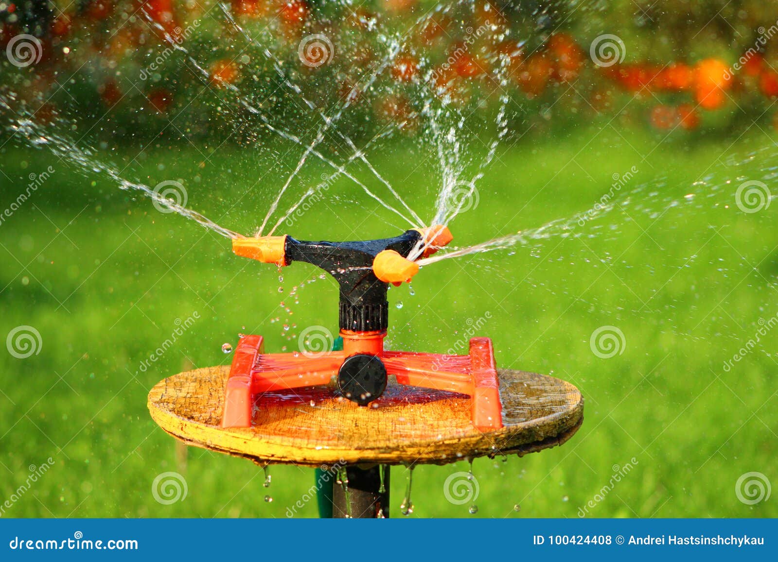 Pipe for Watering the Garden Stock Photo - Image of lake, equipment ...