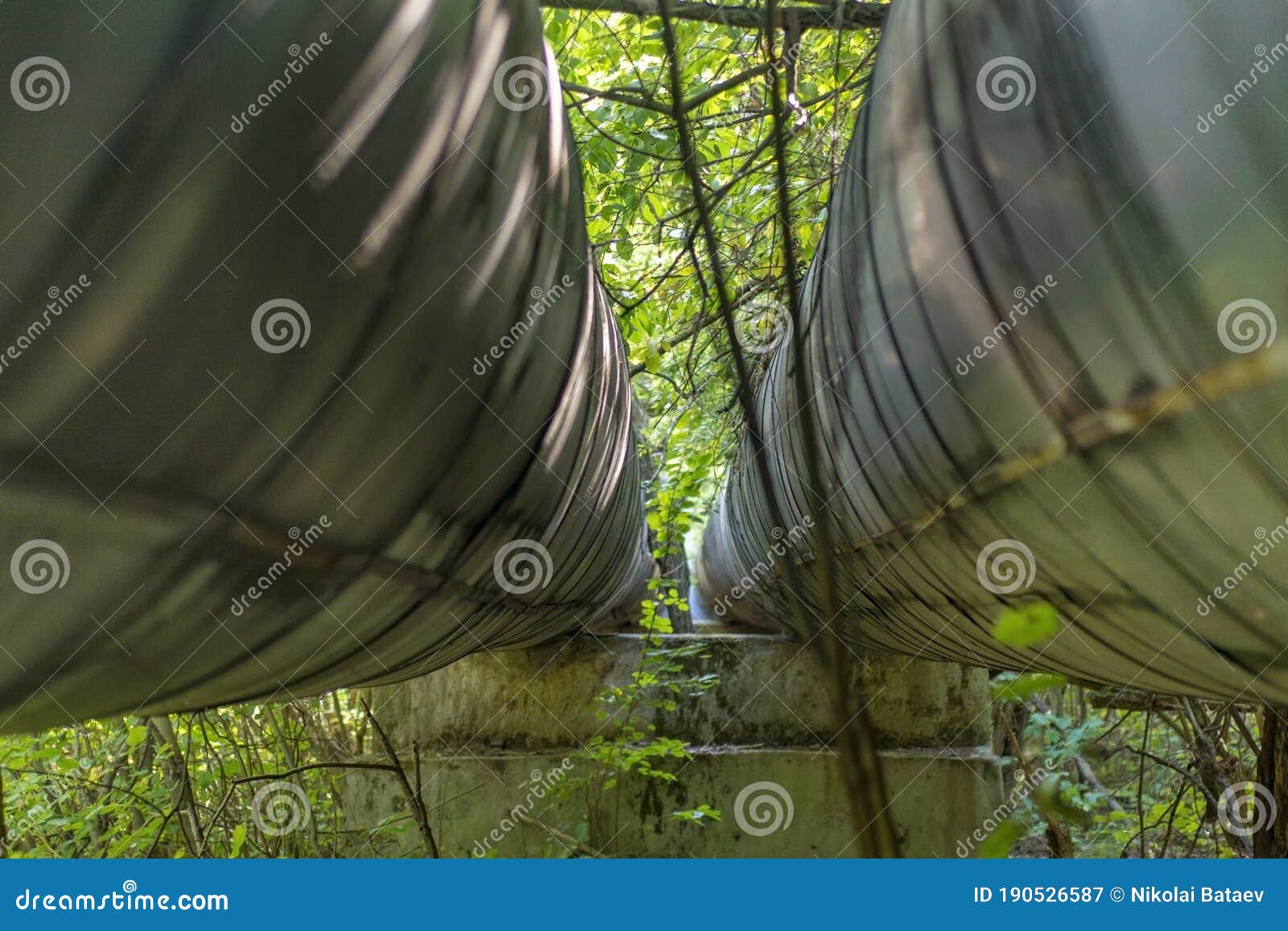 Pipeline in the forest stock image. Image of pipeline - 190526587
