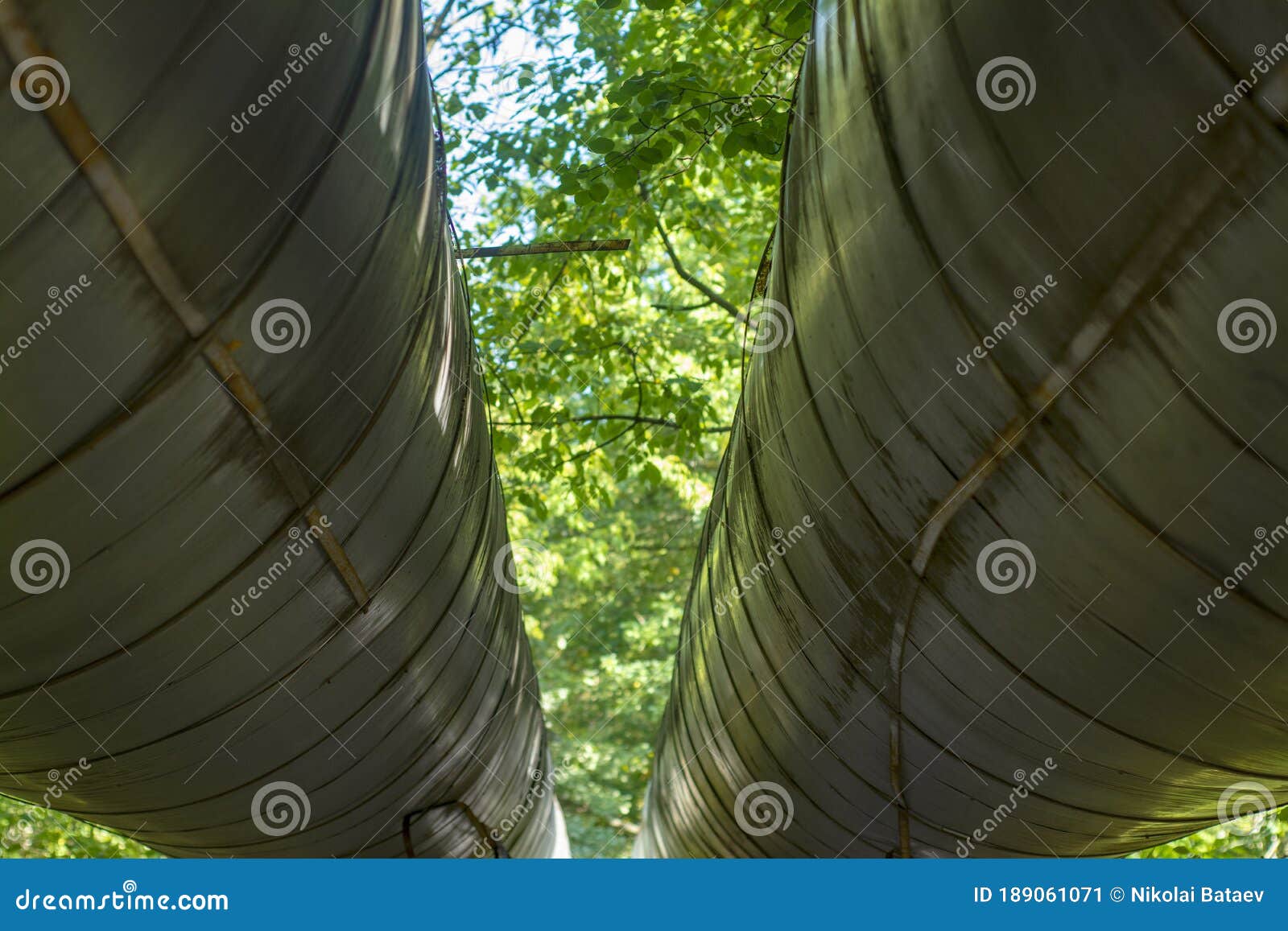 Pipeline in the Forest among the Trees Stock Image - Image of ...