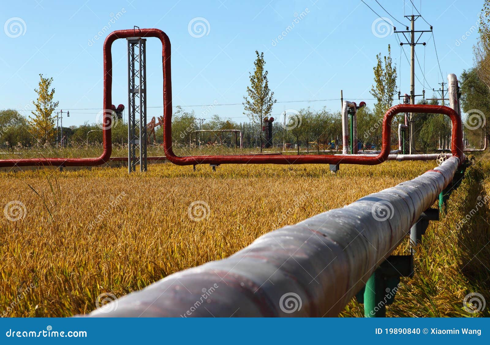 Pipeline in nature stock photo. Image of pipes, technology - 19890840