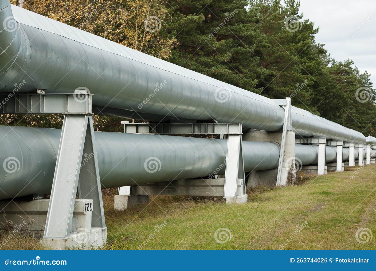 Pipeline, in the Photo Pipeline Close-up Stock Photo - Image of ...