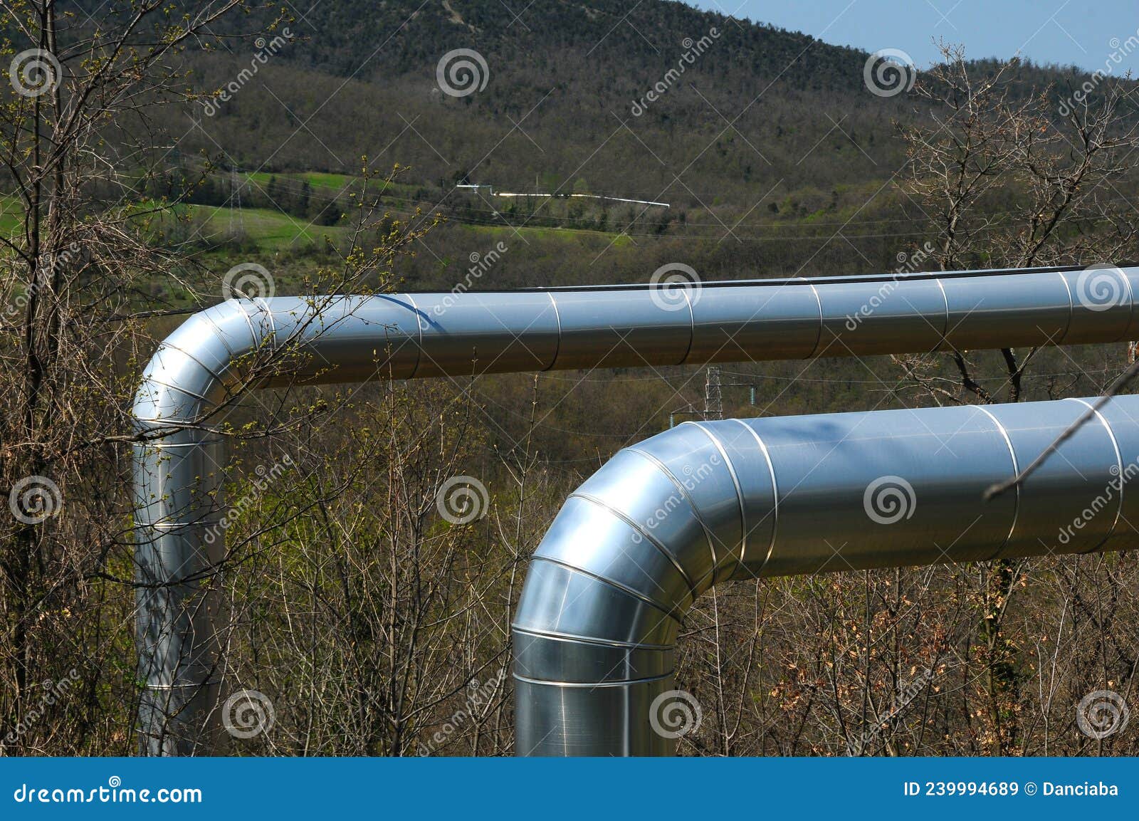 Pipeline, Pipes in the Middle of a Forest Stock Image - Image of ...